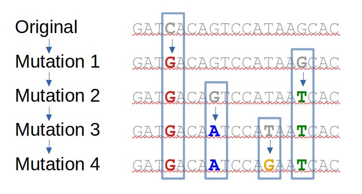 Plato's Cave: "Unnatural evolution": indisputable evidence for ...