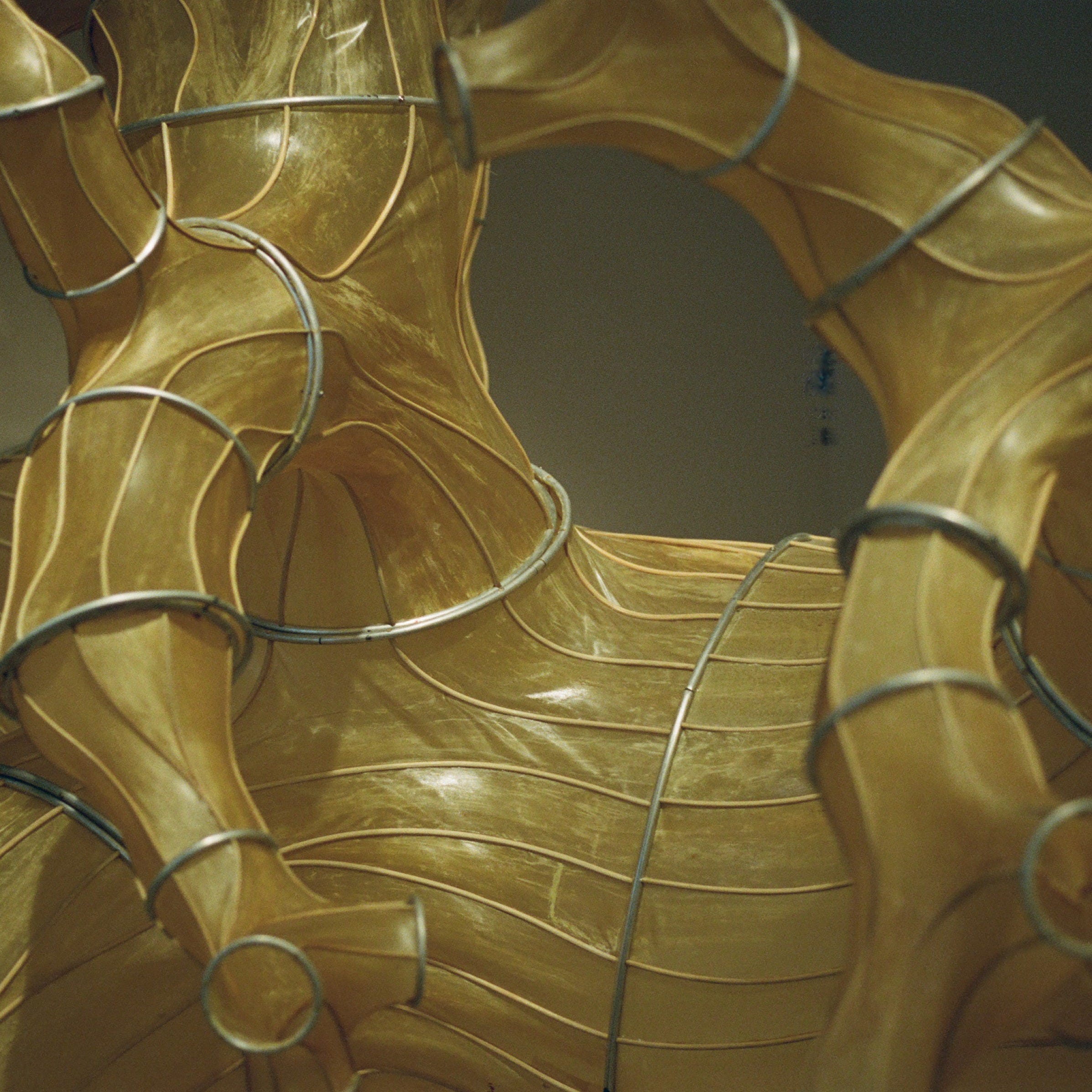 Bob Schultz | Substack