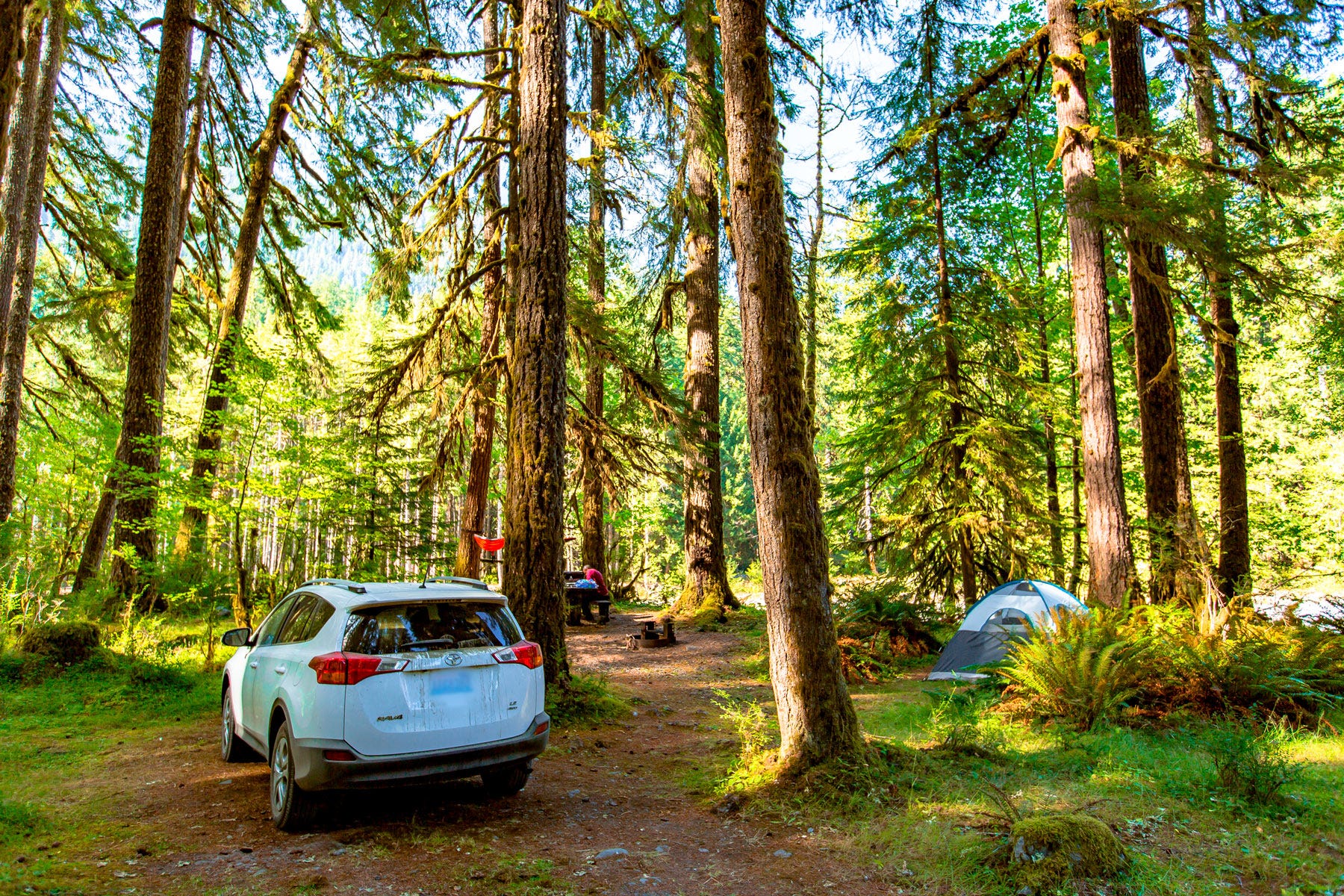 Fantastic Campgrounds & Where to Find Them #1