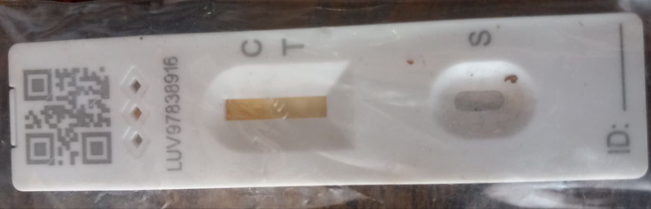 C O V -19 positive rapid test viewing. - Karl.C’s Substack