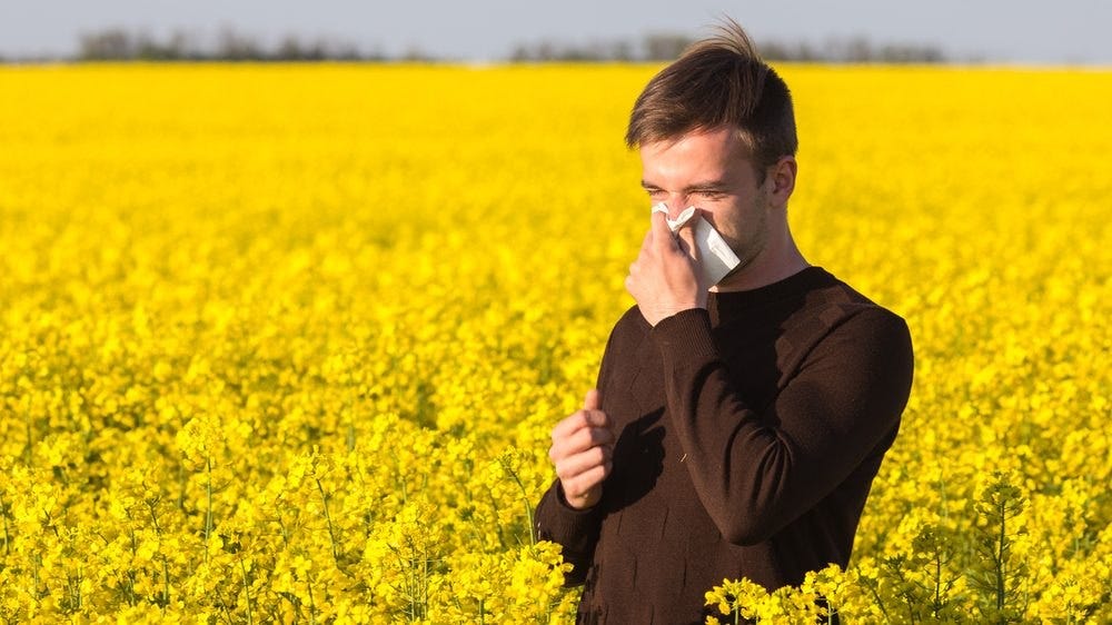 Pollens : des allergies plus intenses et précoces avec le changement ...