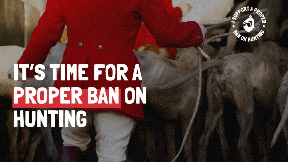 Inside Protect the Wild: why a 'Proper Ban on Hunting'?