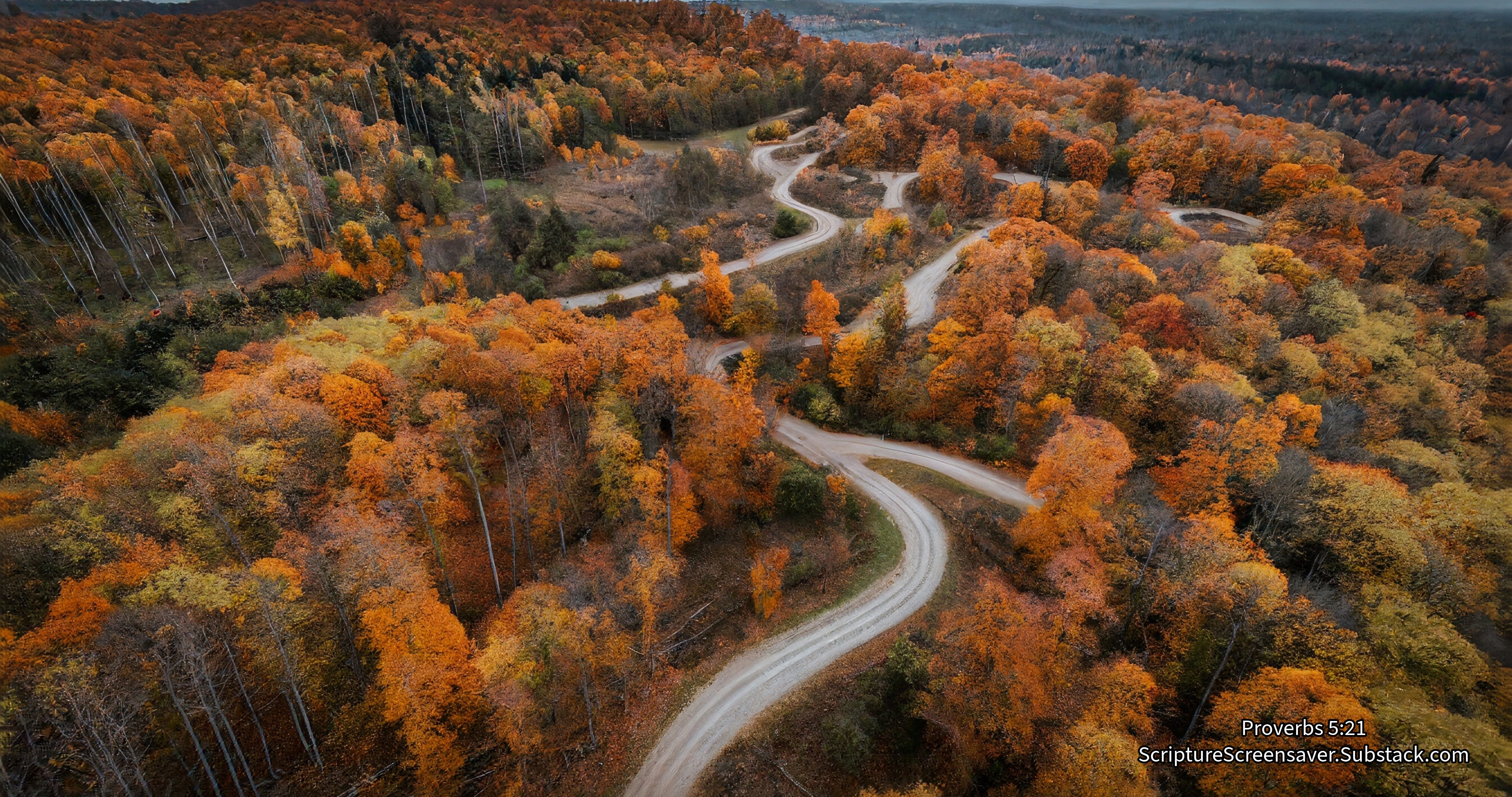 Walking With Integrity... - Scripture Screensaver