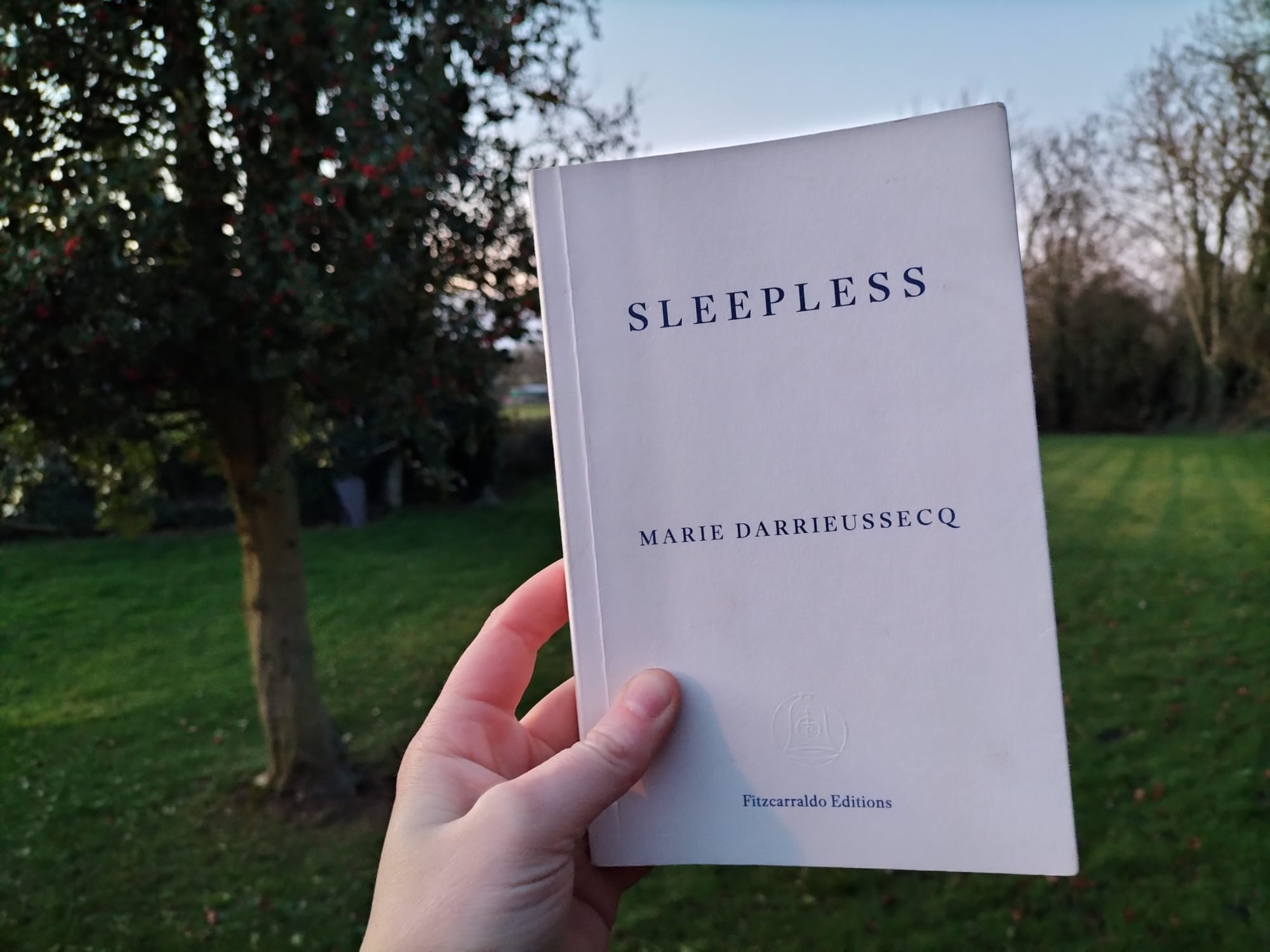 Naming the Beast - by Sadhbh Ní Shúilleabháin - shadowplay