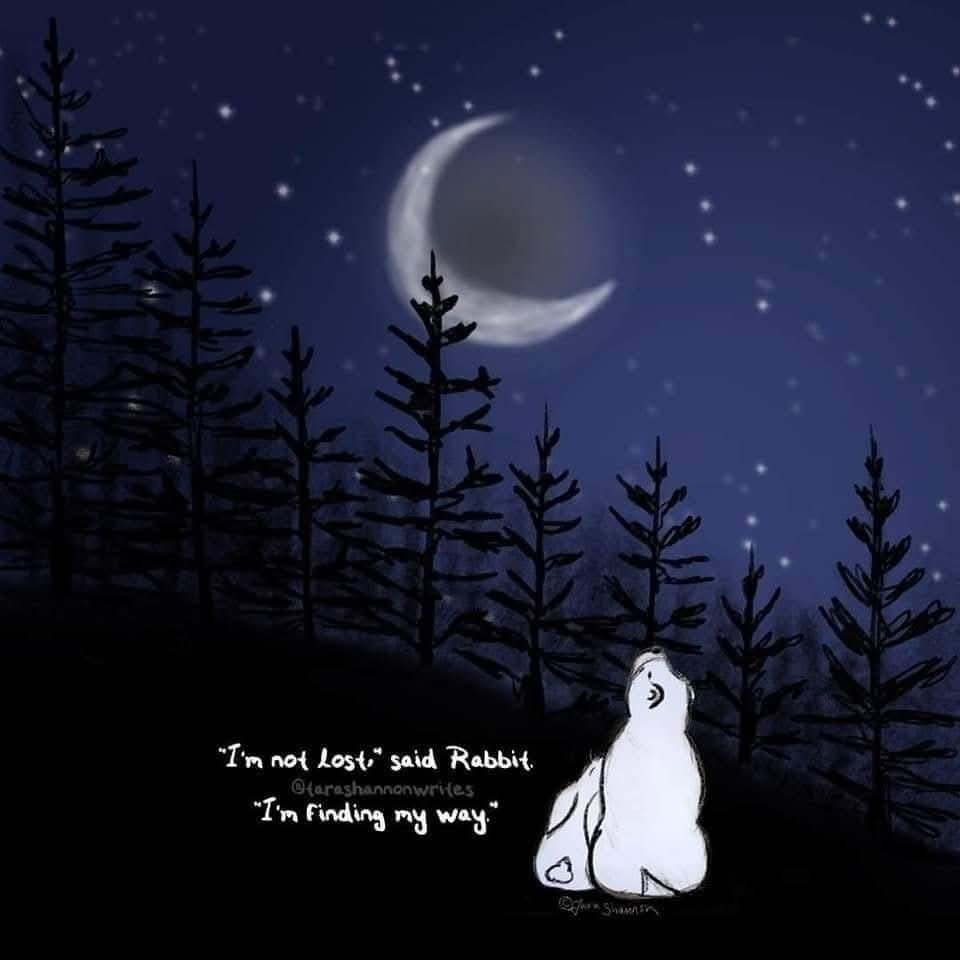 Daily Rabbit & Bear - by Tara Shannon - Tara’s Substack