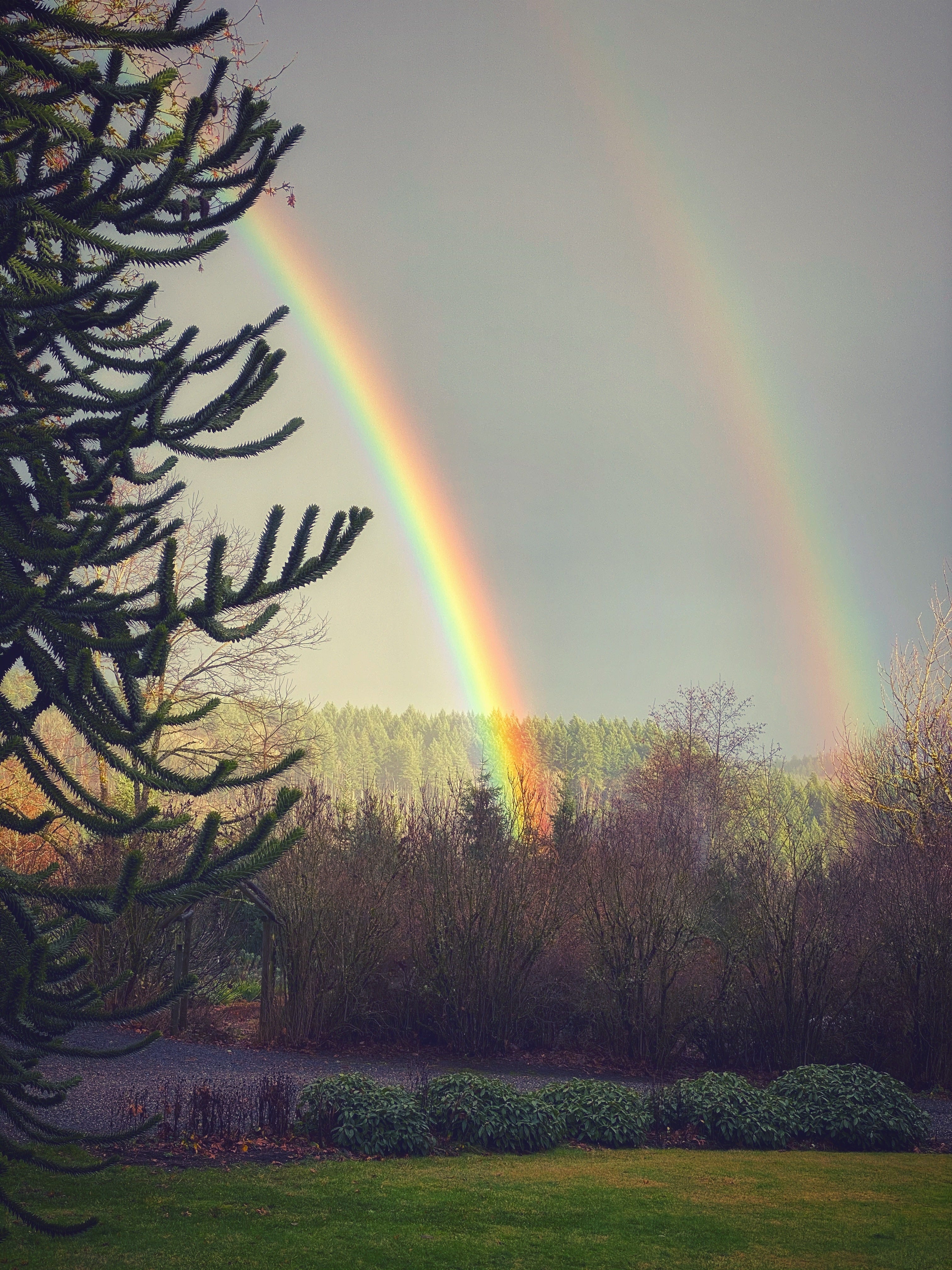 Unselfing - by Kimberly Warner - Unfixed