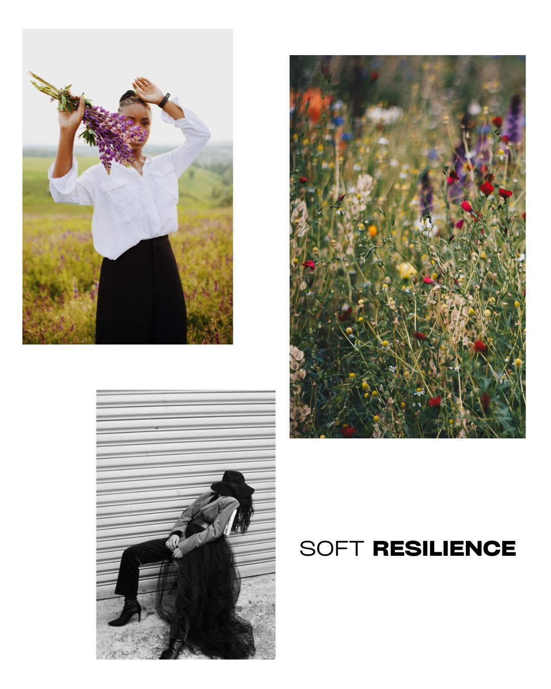 The Case for Soft Resilience - by Cheryl Telfer