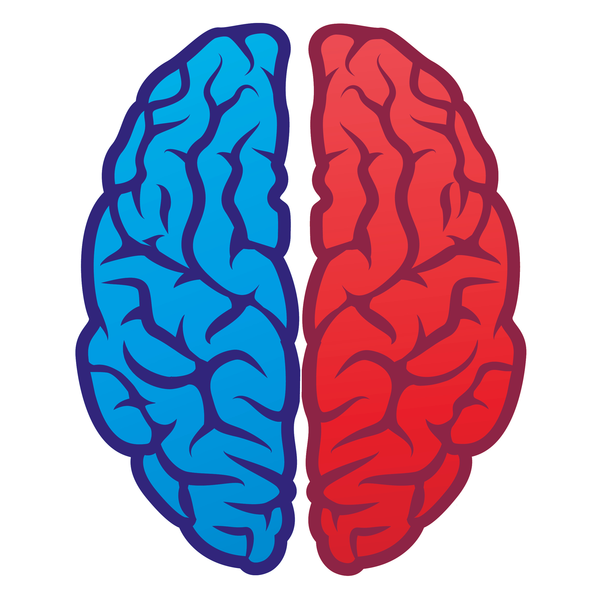 The Political Brain - by Ghaffar Hussain