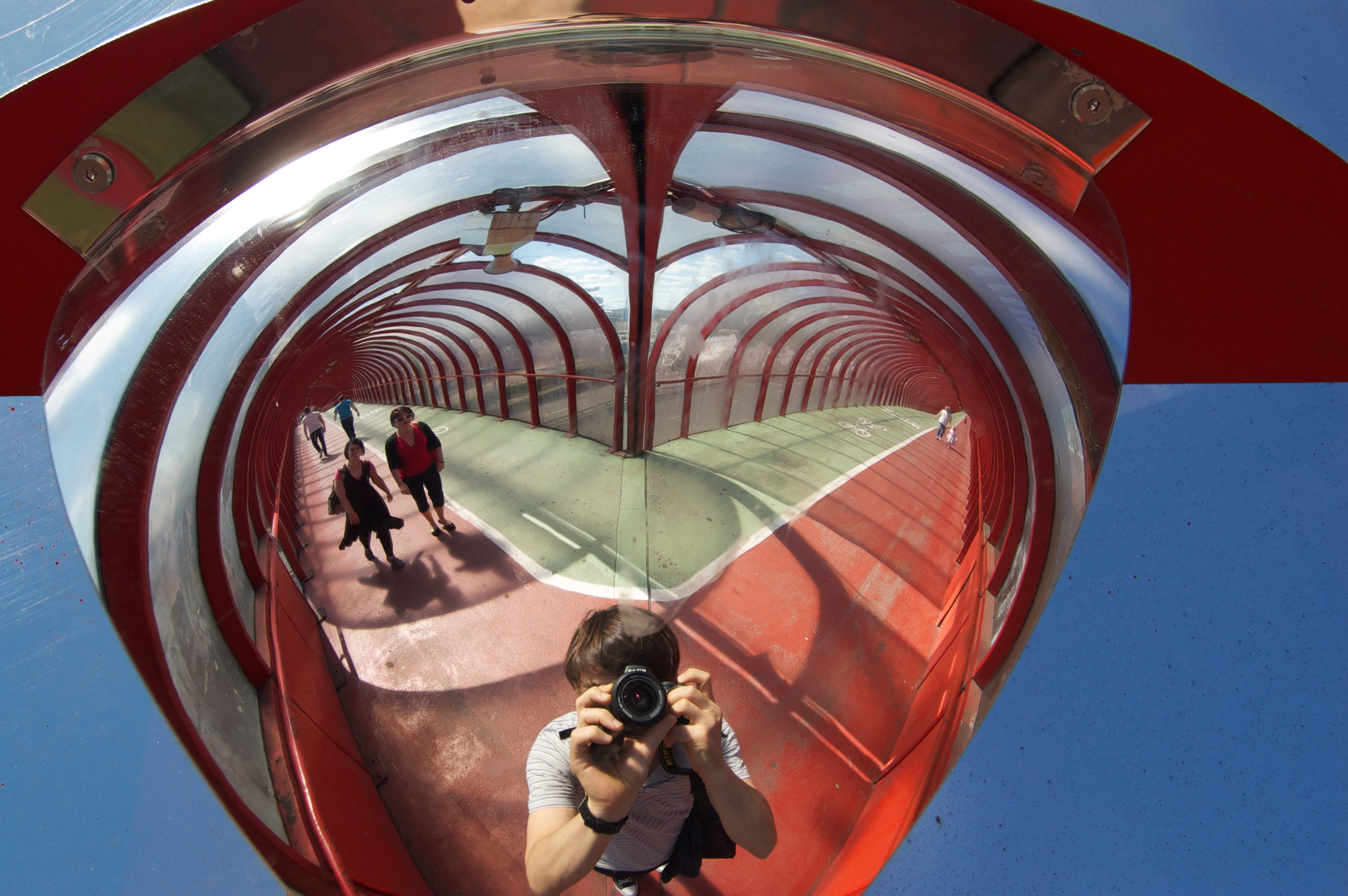 The Years in Photos - by Neil Scott - The Crop