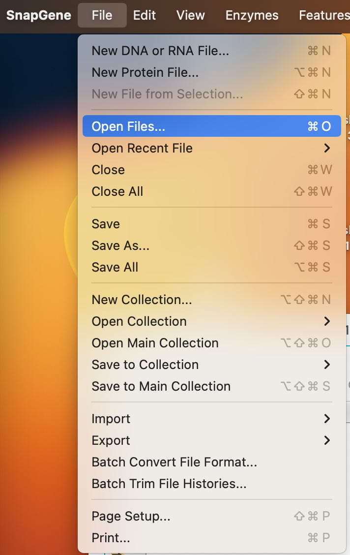 Intent to Deceive - by Anandamide
