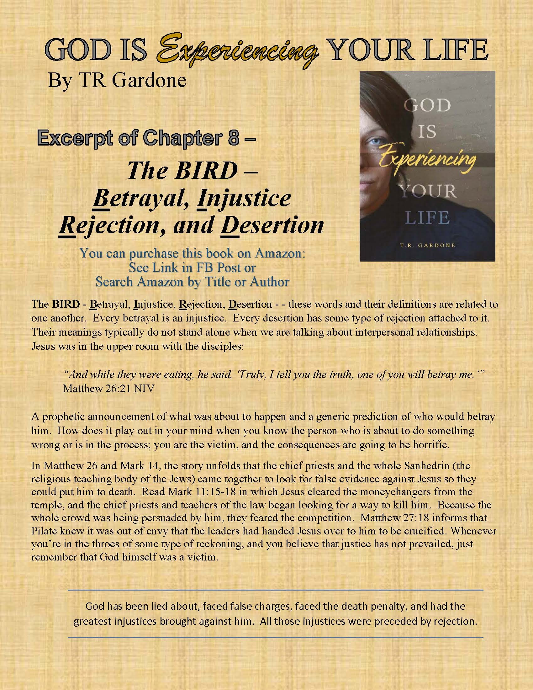 The BIRD - Betrayal, Injustice, Rejection, and Desertion