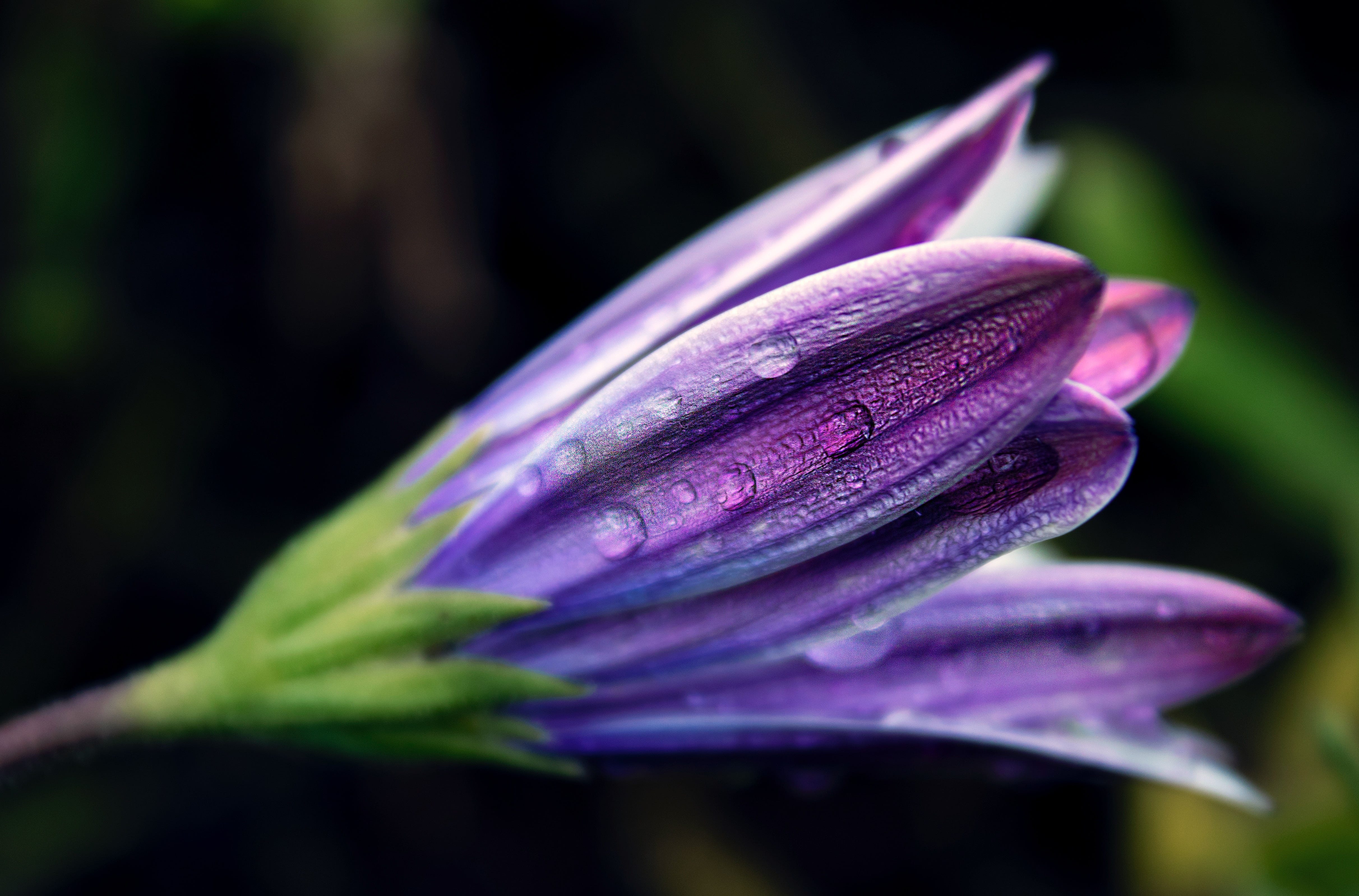 [Korean FE Article] React에서 UI와 로직 분리하기:헤드리스 컴포넌트를 사용한 클린 코드 접근법