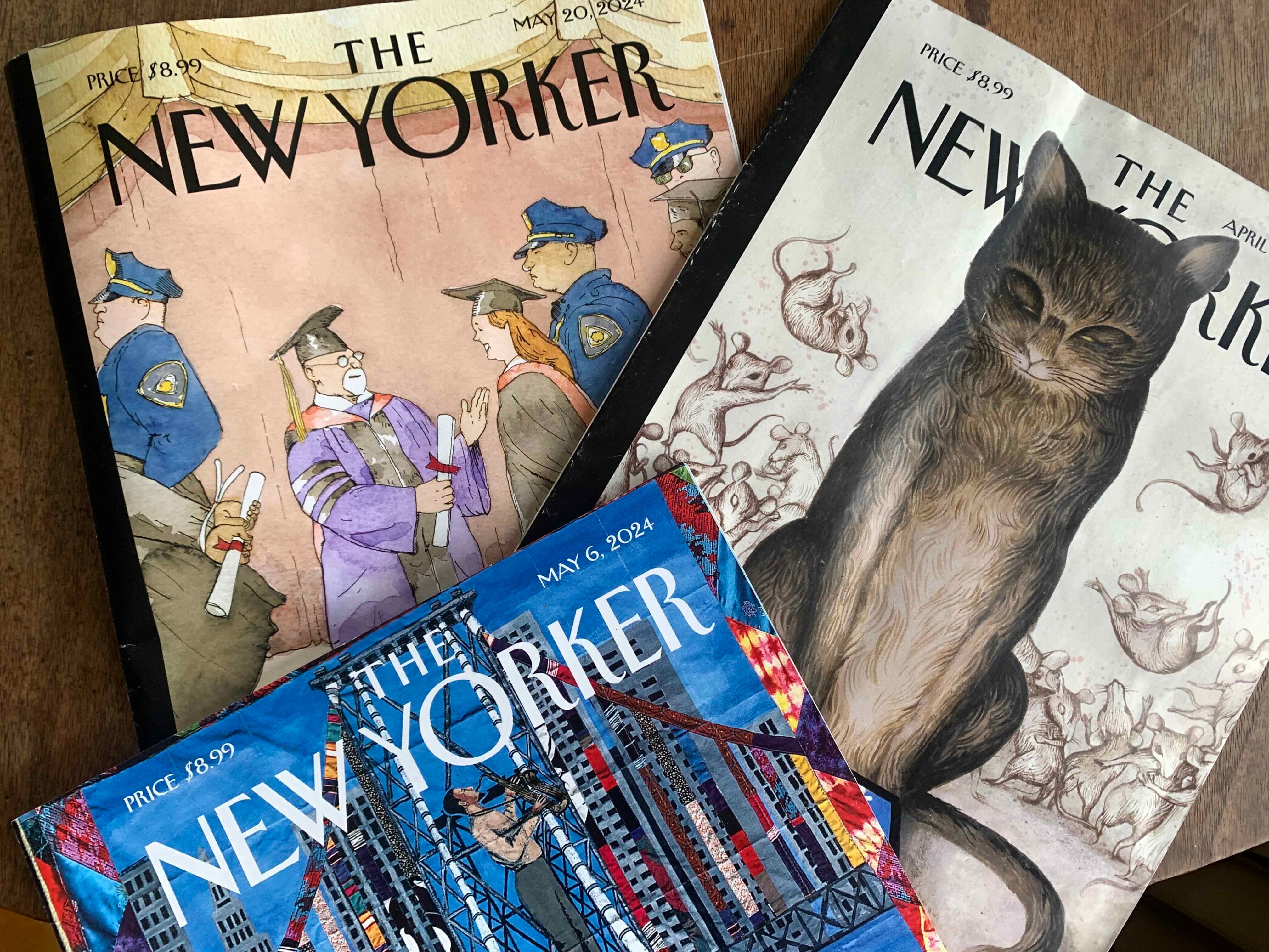 What are you reading? - by Christopher Frizzelle - FrizzLit