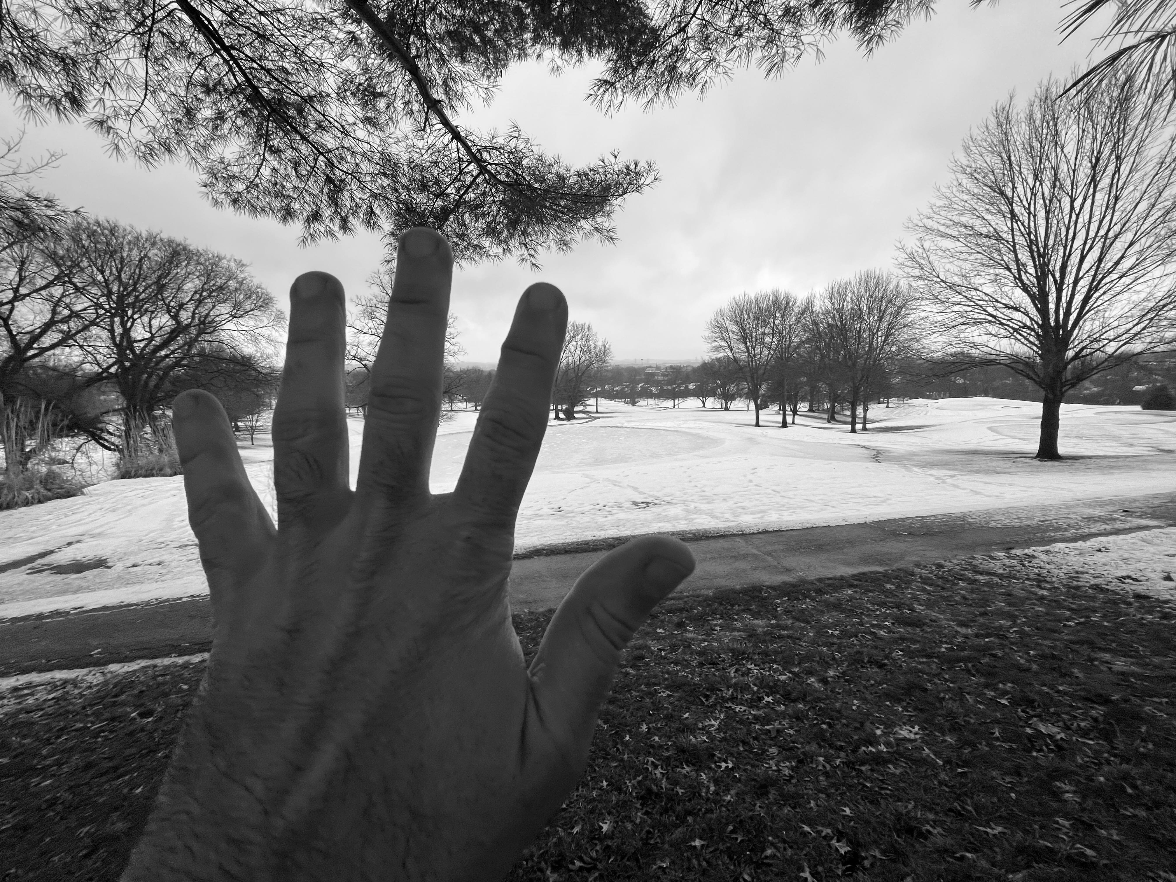 Banshees of Inisherin - A Review - by Edward Goode