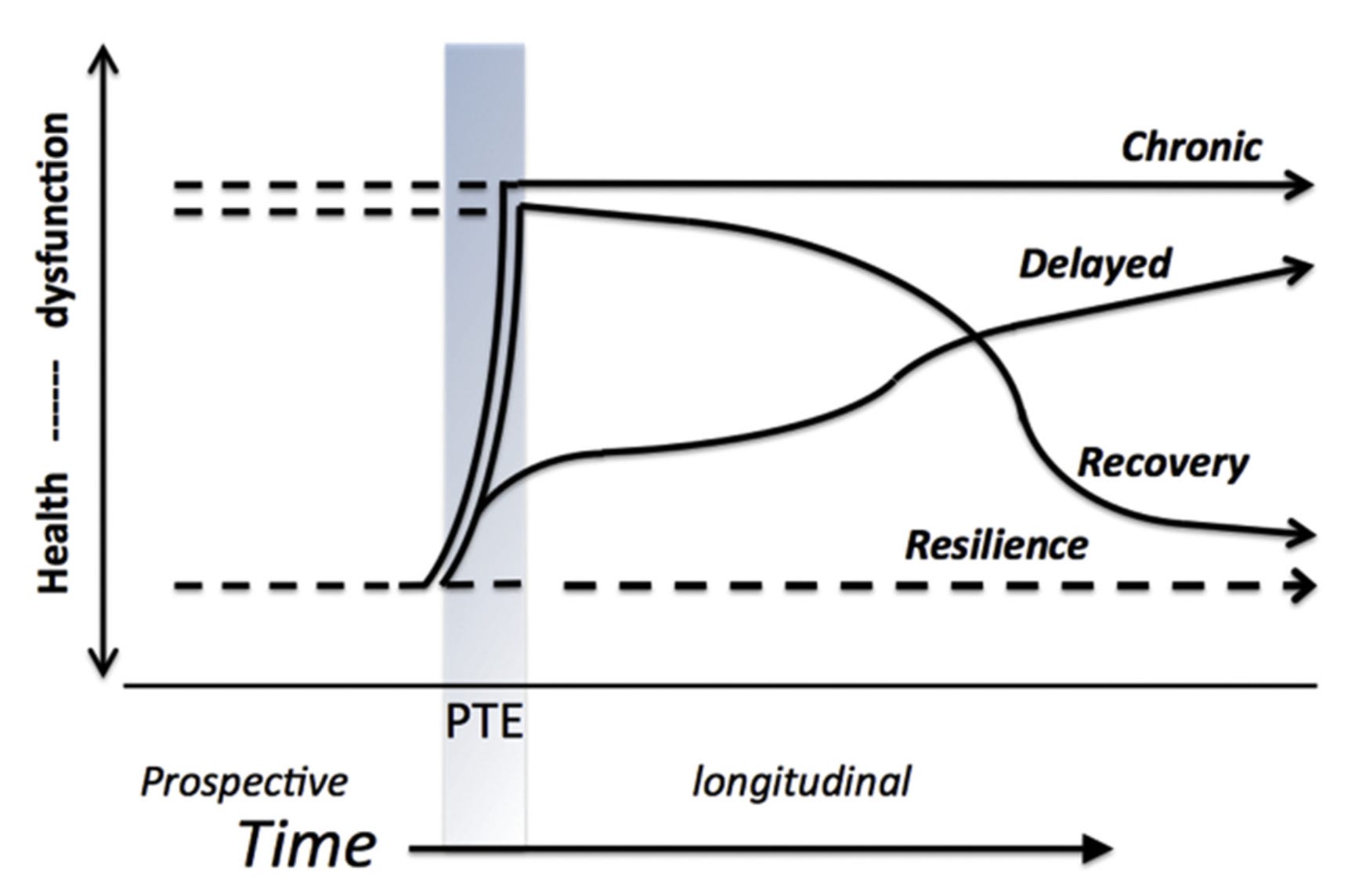 What is Resilience? - by Lydia Roos - Lydia’s Substack