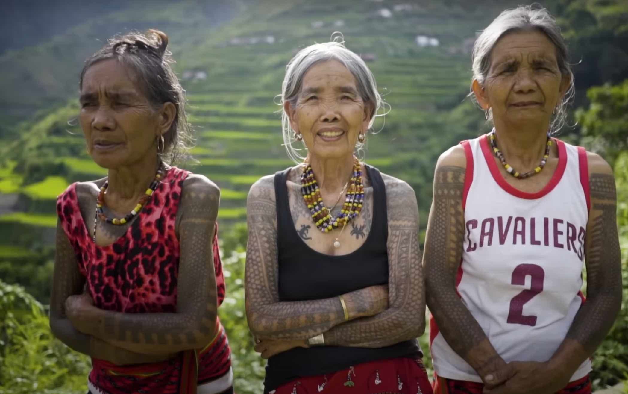 My Weekly Recommendations - by Sharon McMahon