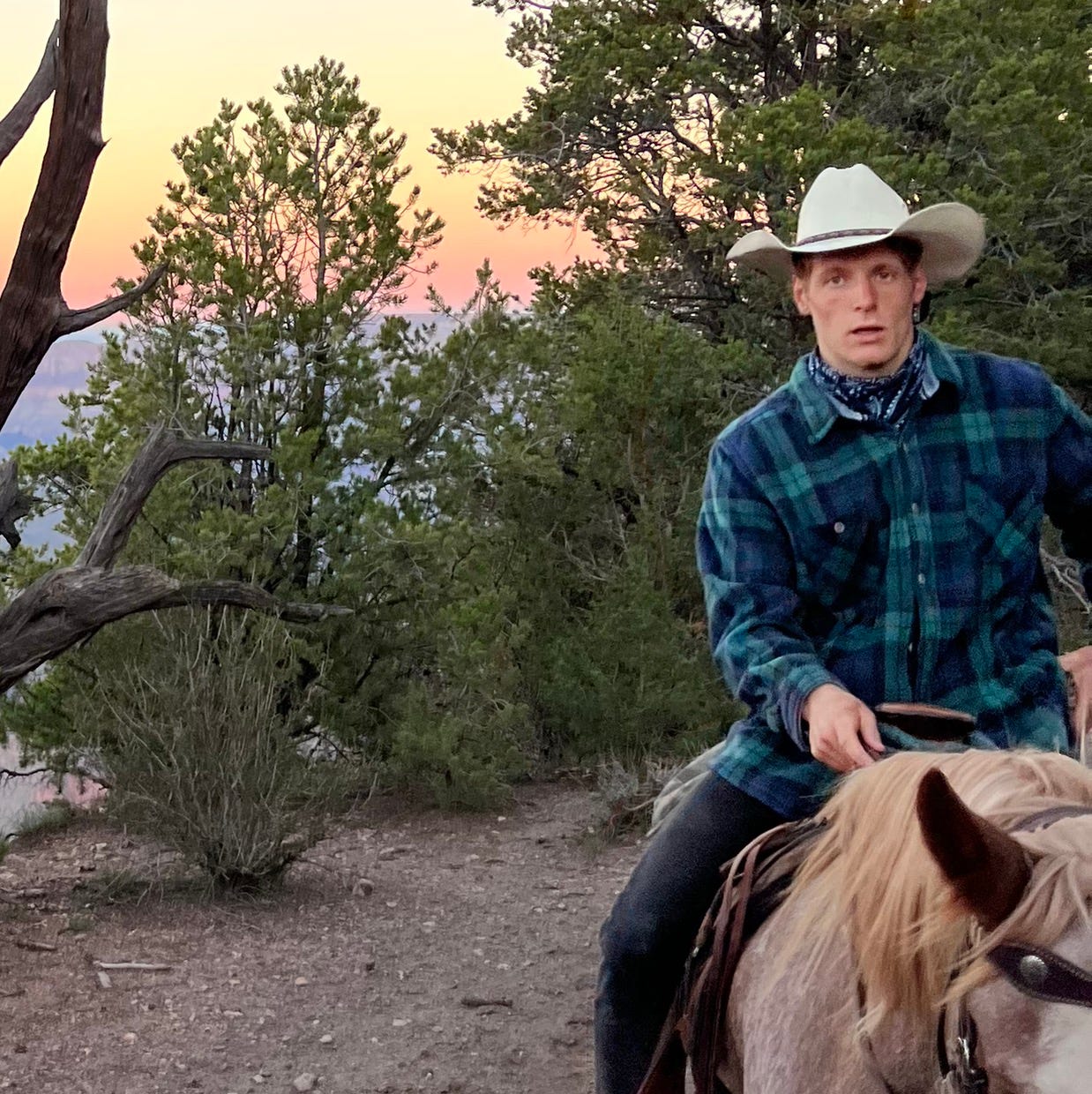 Nick Brusa | Substack