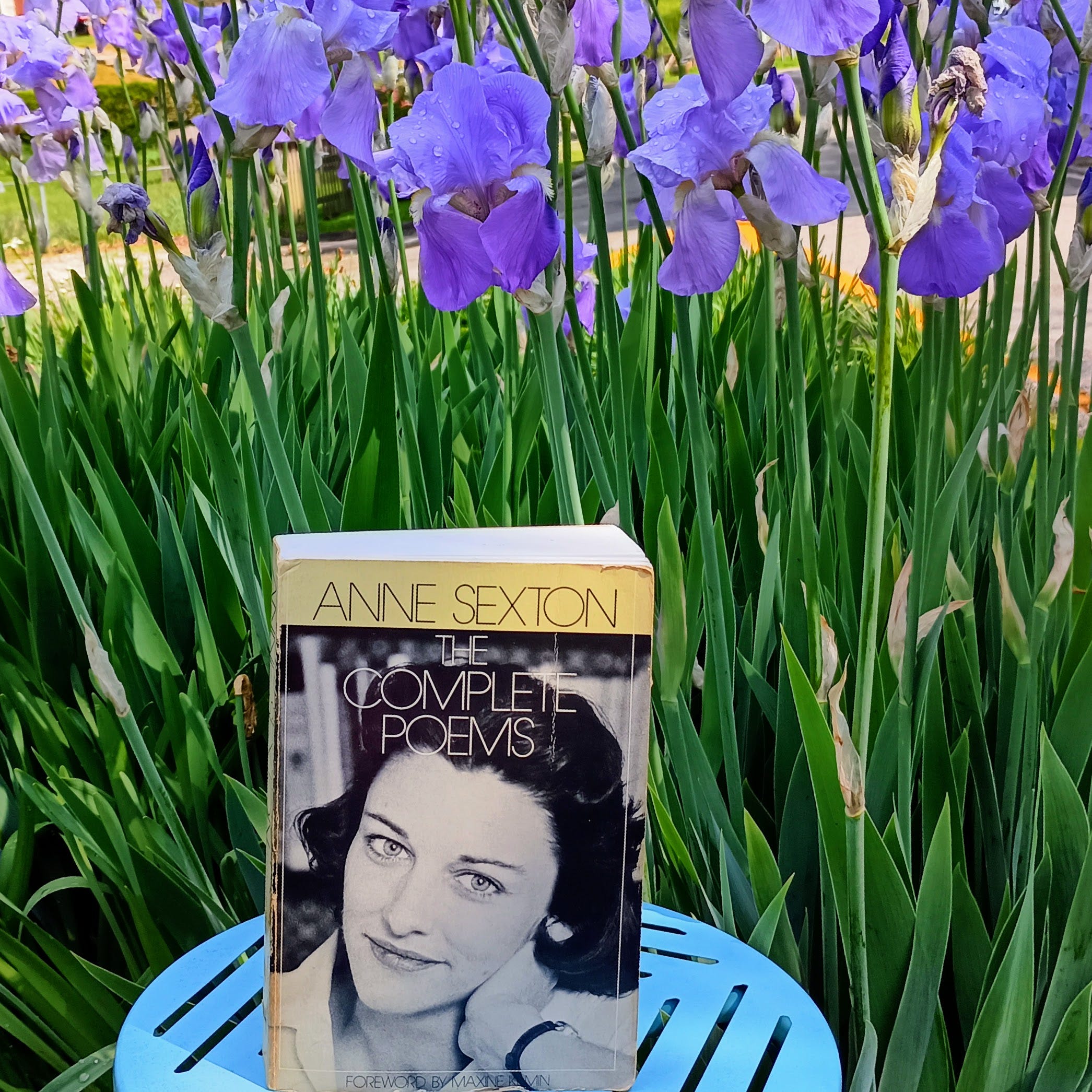 The Complete Poems by Anne Sexton - by Meredith