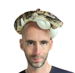 Dennis Notten | Substack