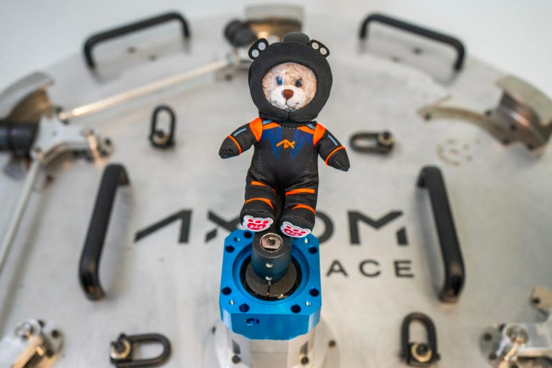 Teddy Bear 'GiGi' Returning to Space - by Tom Patton
