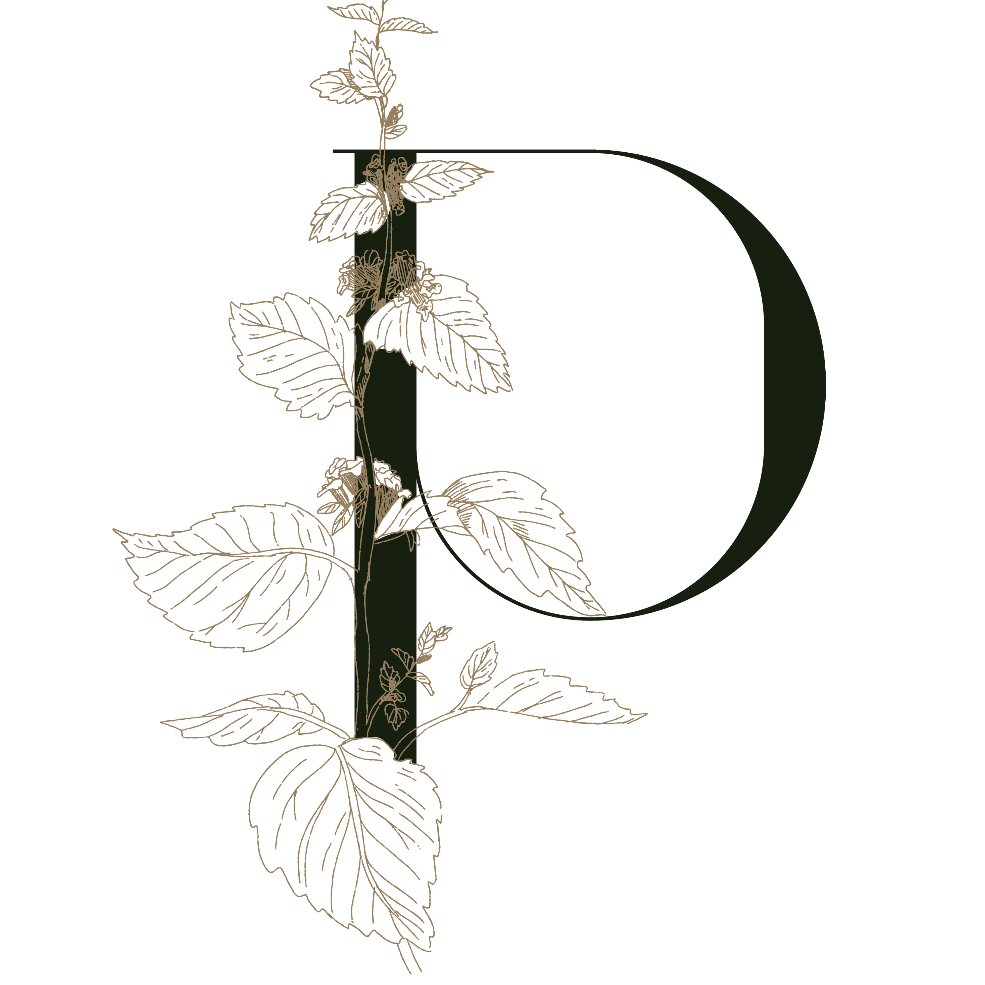 Mel Adams | Substack