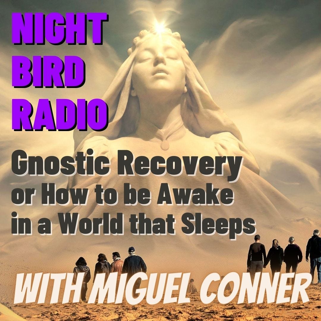 Gnostic Recovery, or How to be Awake in a World that Sleeps with Miguel Conner