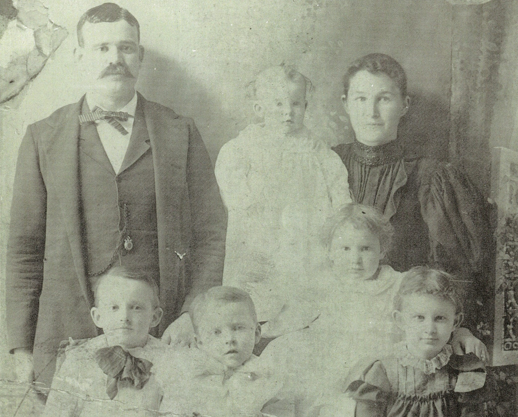 Shaking the Family Tree, Vol. 3 - by Charles Robert Jones