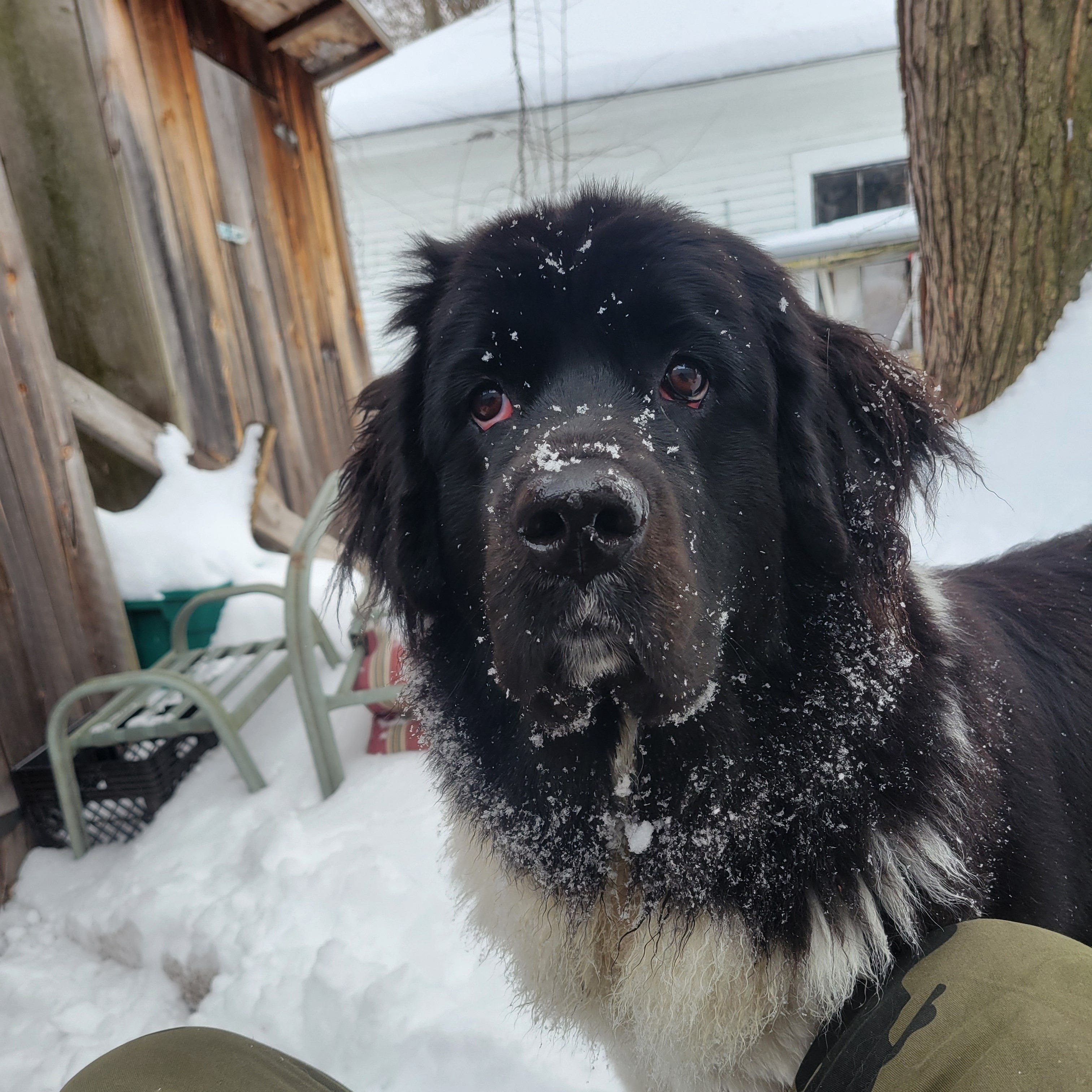 David M. Poff | Substack