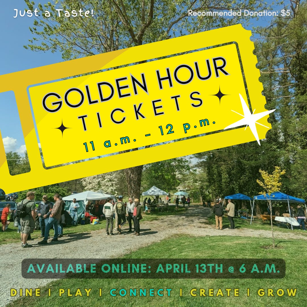 Radford Redbud Festival 2024! The COMPLETE INFO. GUIDE