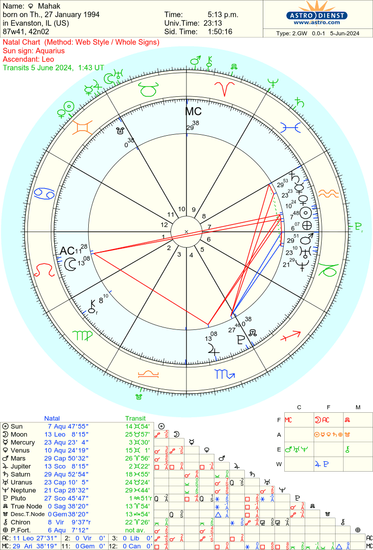 The Basics of Reading Your Chart - Mahek Lakhani