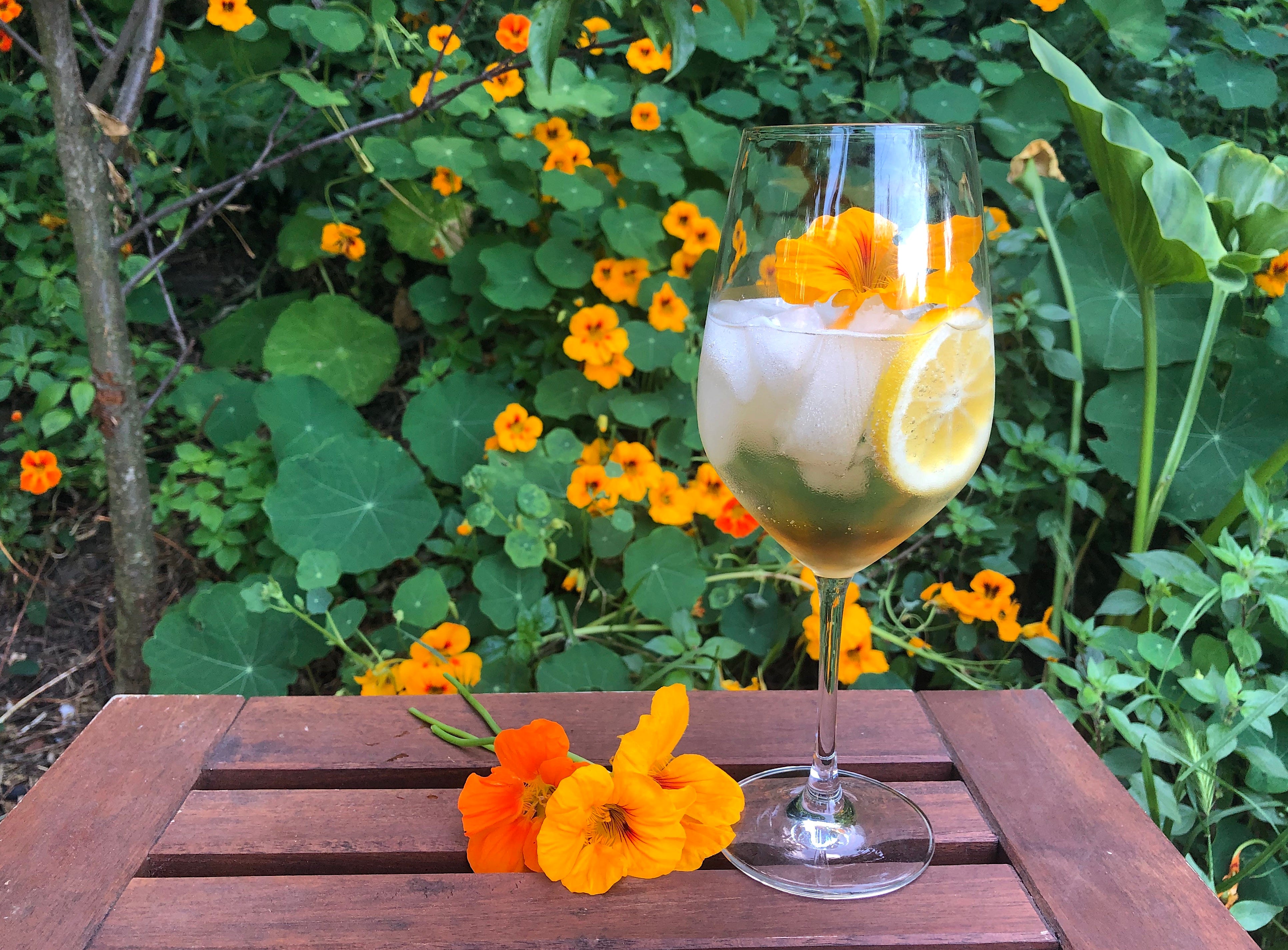 Homemade Umeshu and a Summery Ume Spritz