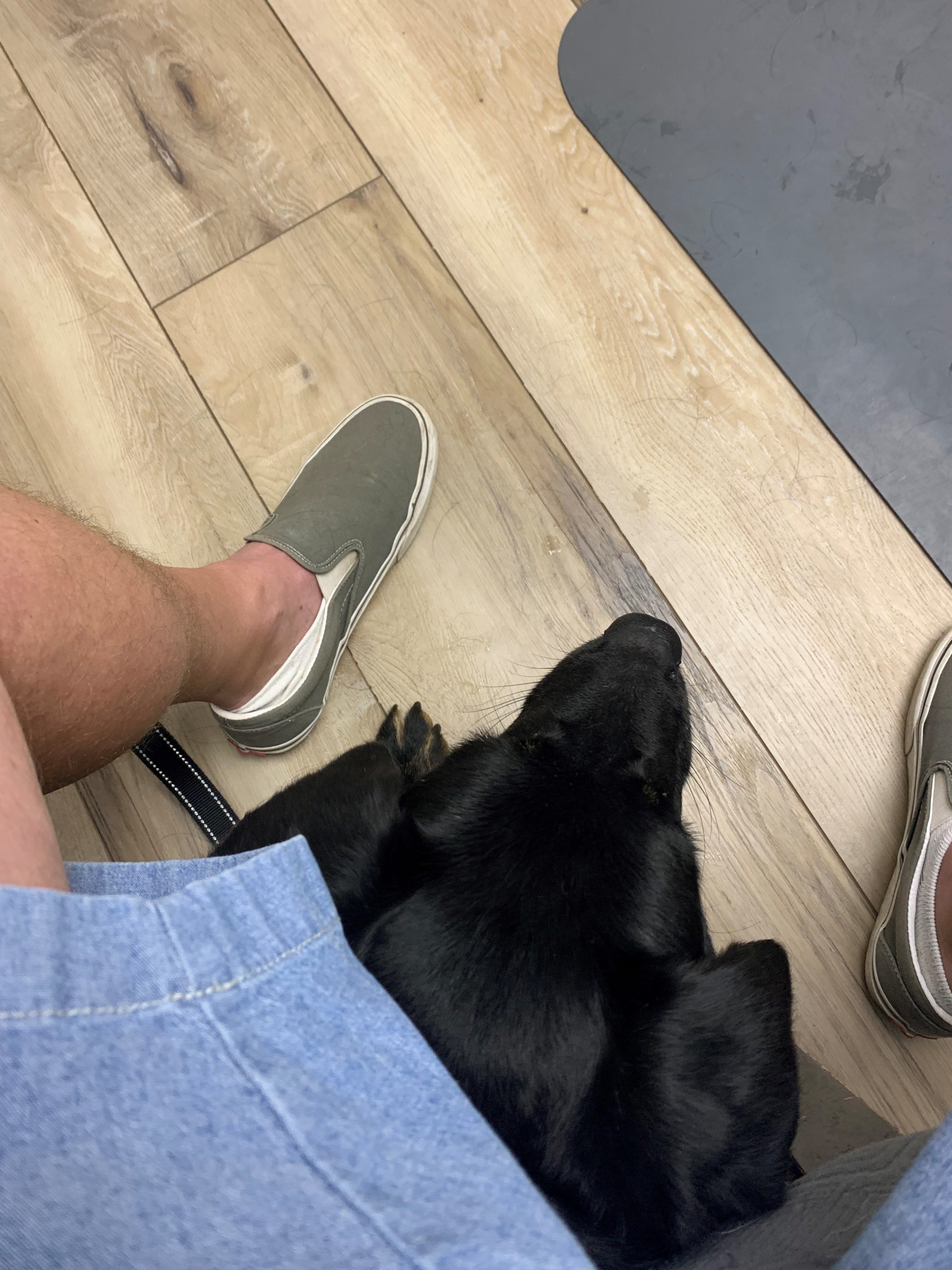 Patience versus Tolerance - by Christopher Dake