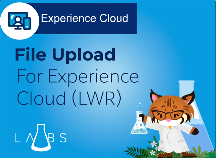 File Upload for Experience Cloud (LWR) Documentation