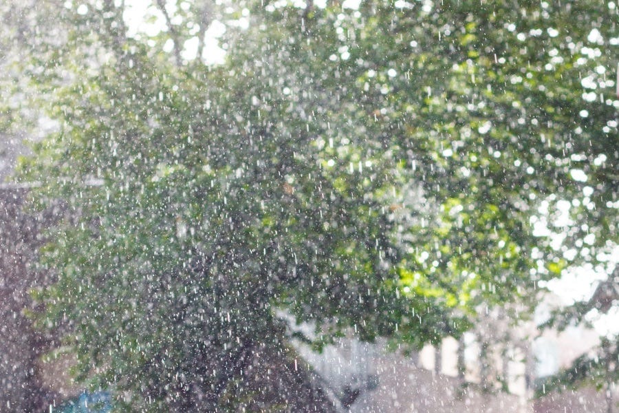 Slow Sunday, raindrops & a recipe - by Lucy Fleetwood