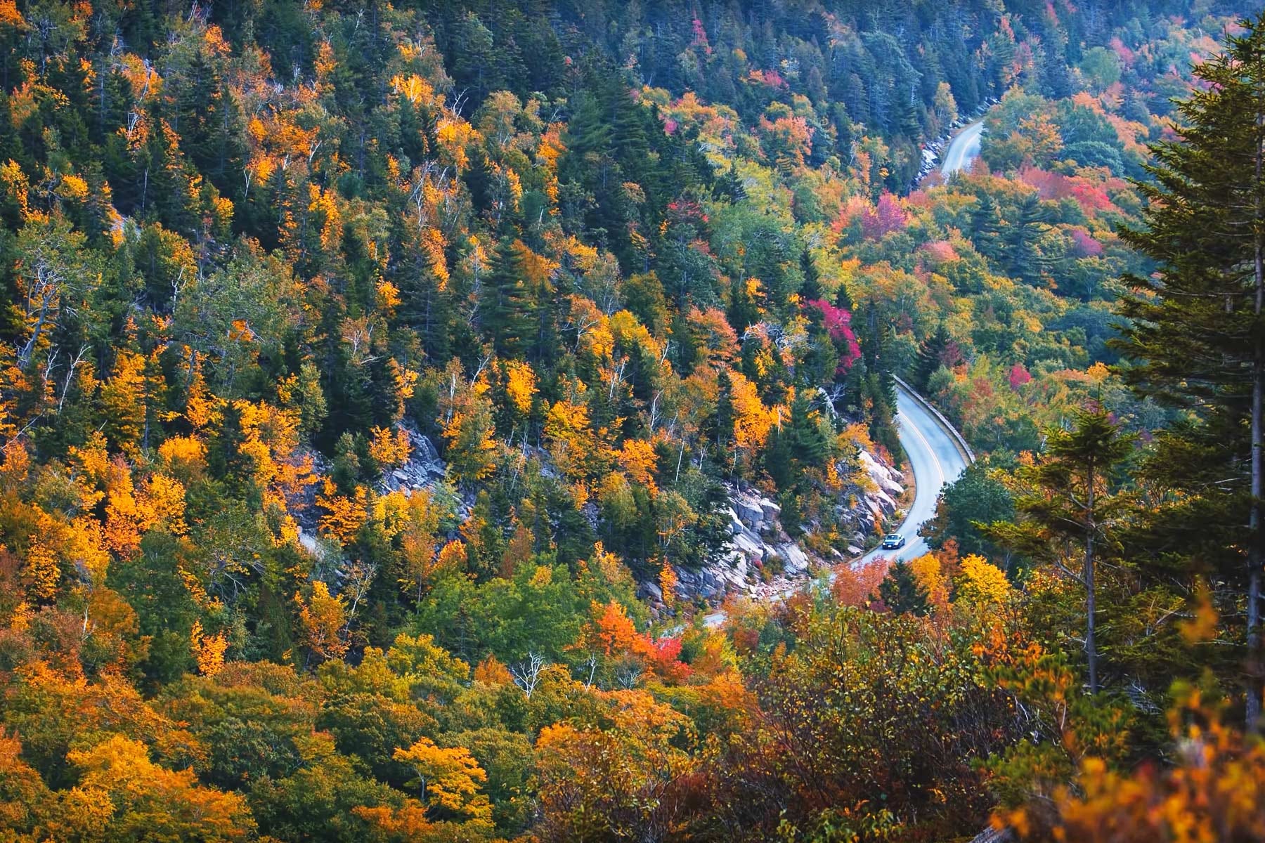 Top 5 Best National Parks for Fall Foliage (Like Right Now)