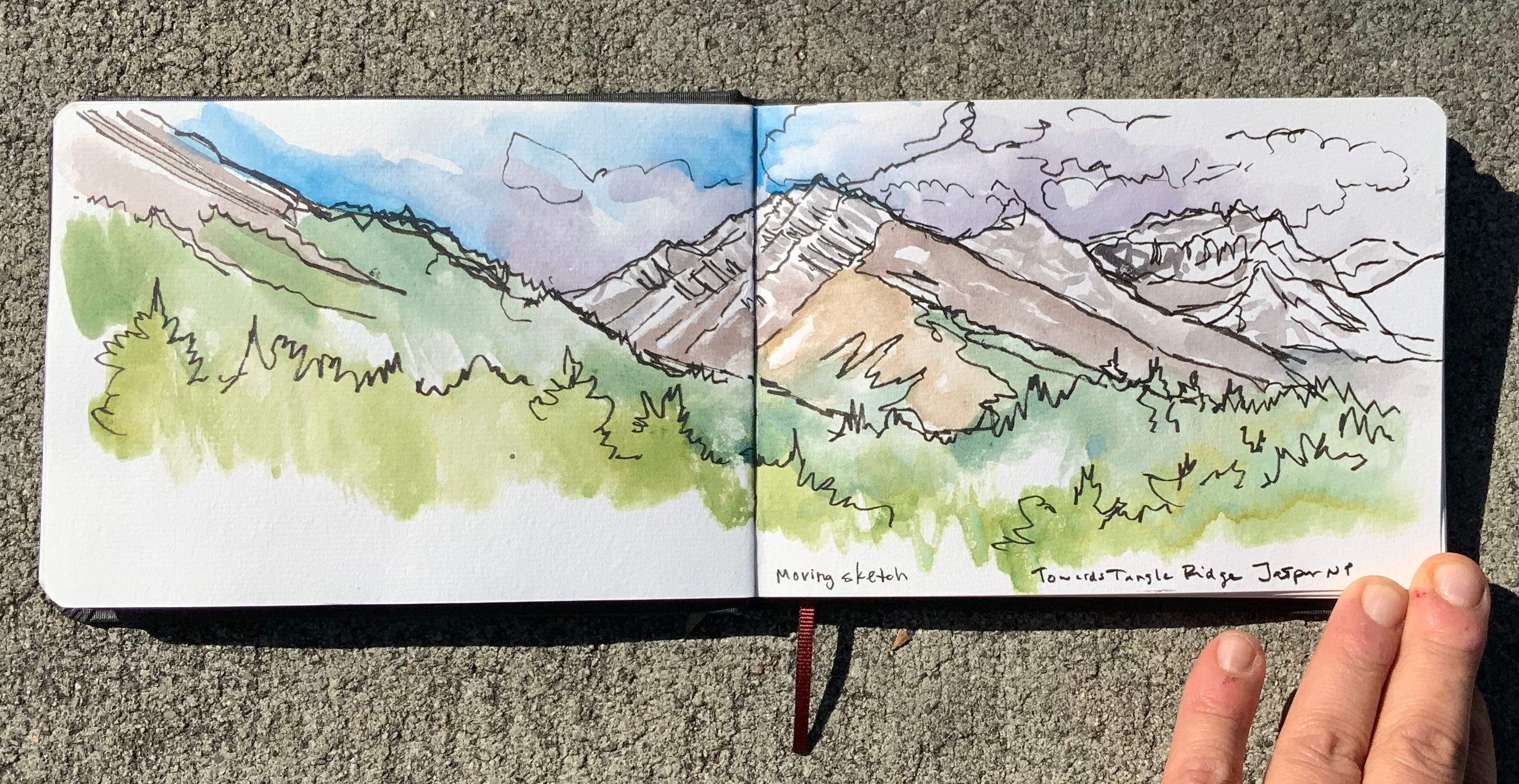 Moving Sketch - by Kristin Link - Weekly Nature Journal