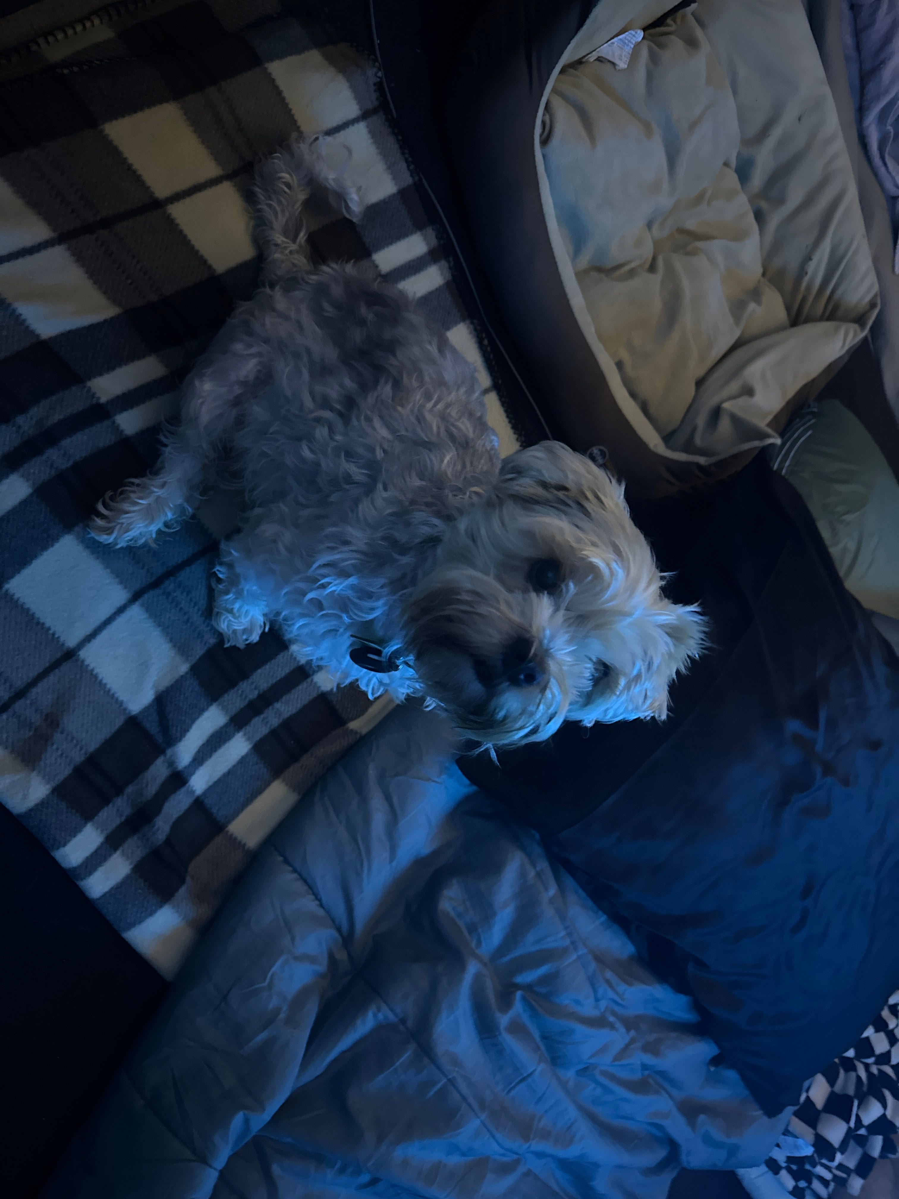 Sick again… - Harold Finch’s Substack