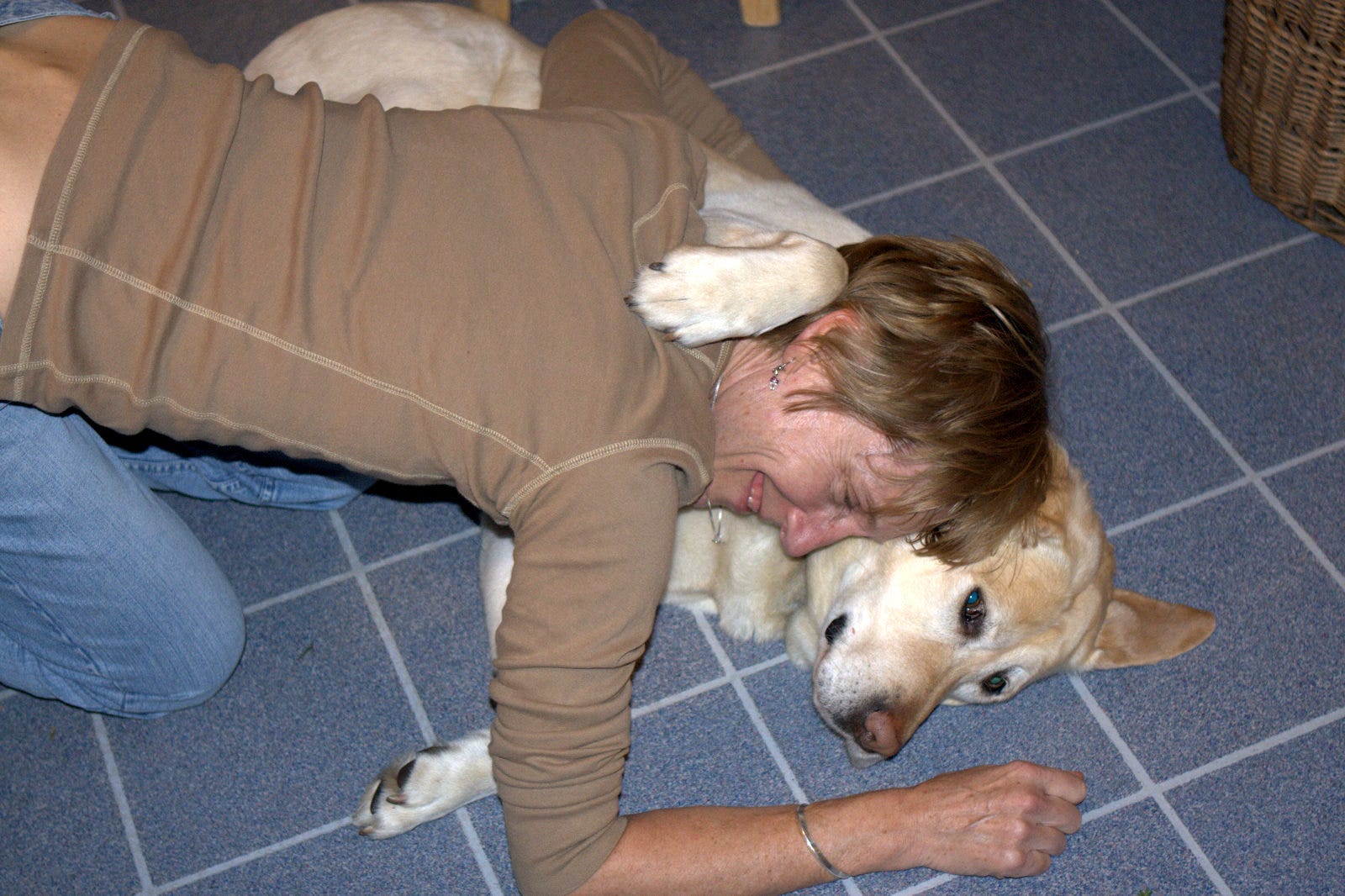 On Getting a Dog - Deb Shaw — A Creative Life