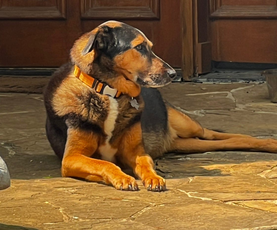 Dee Rambeau | Substack