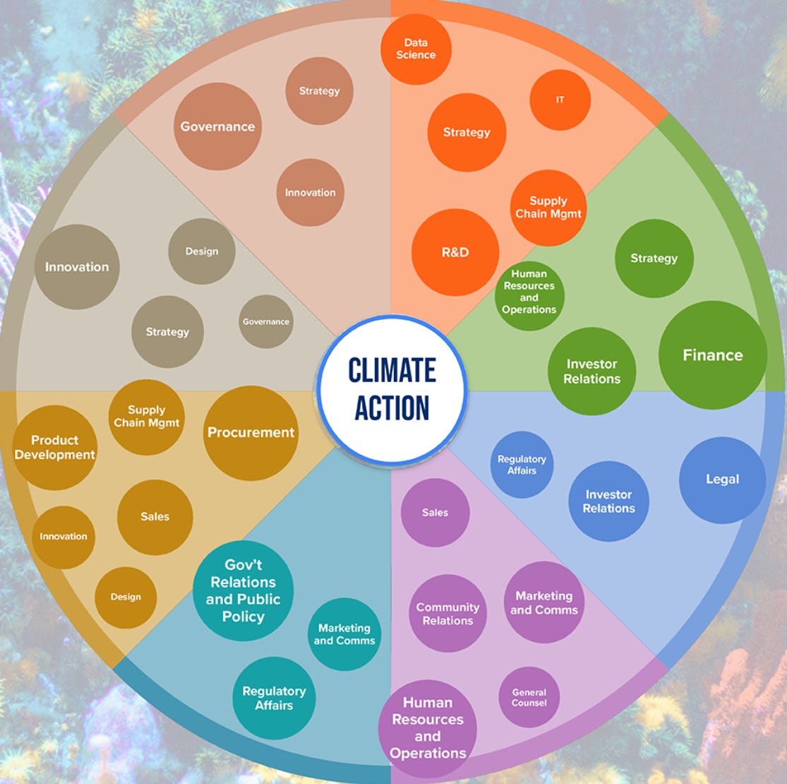 🌞 Brightening Our Future: Sunny Climate News