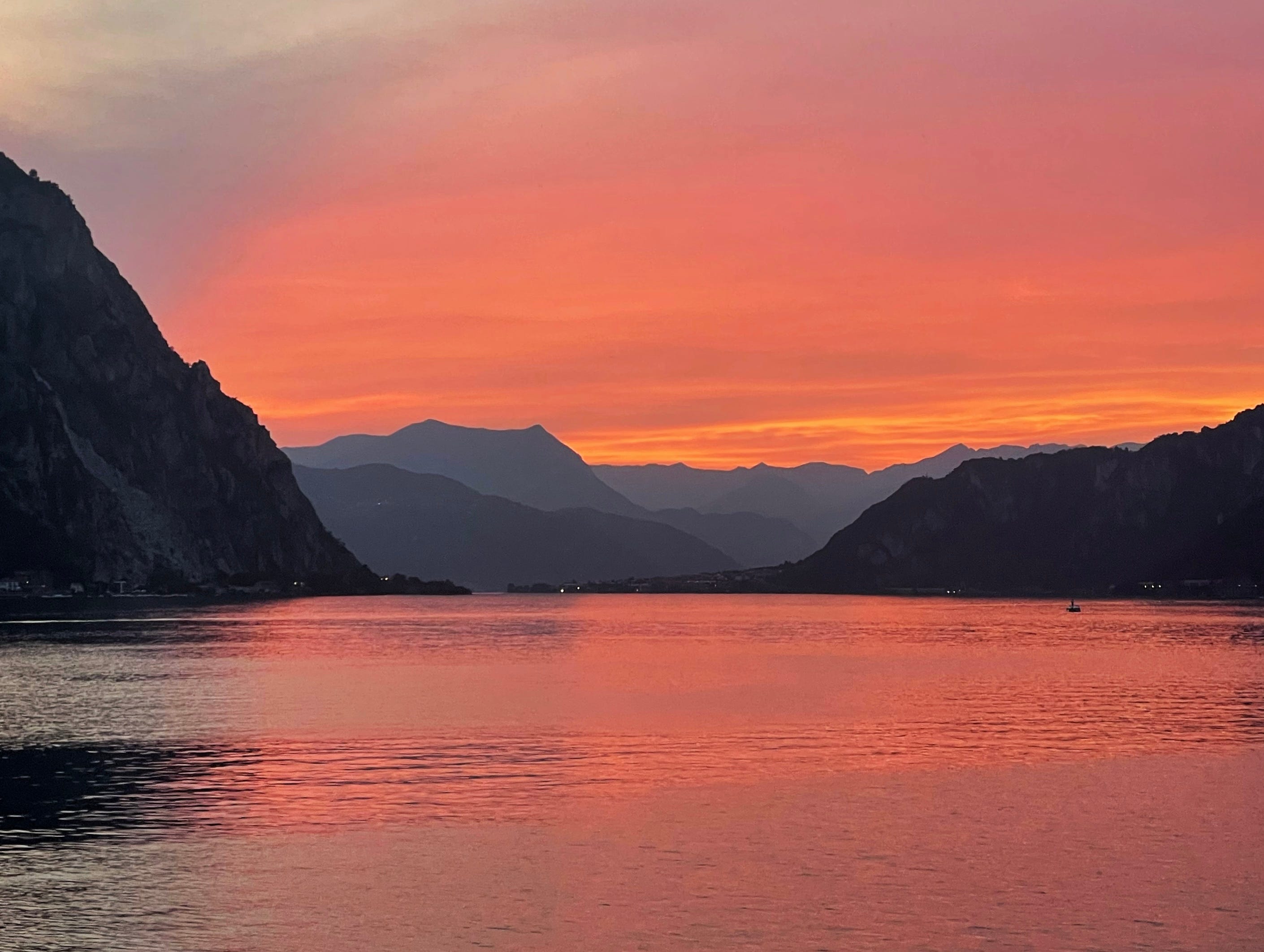 🐬 Palantir Bullets returns free