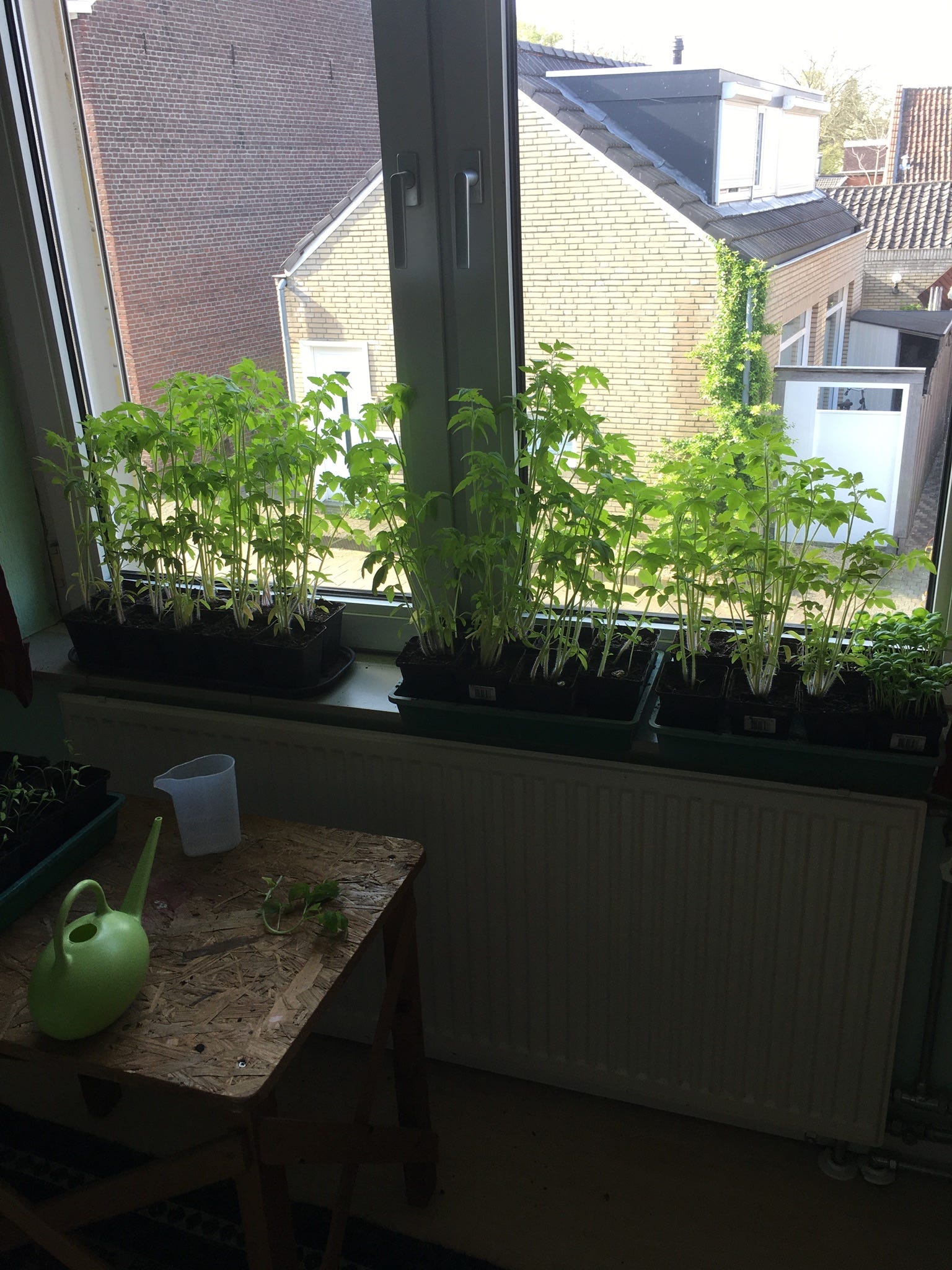 Kind Internal Self-Talk - by Josh Moll