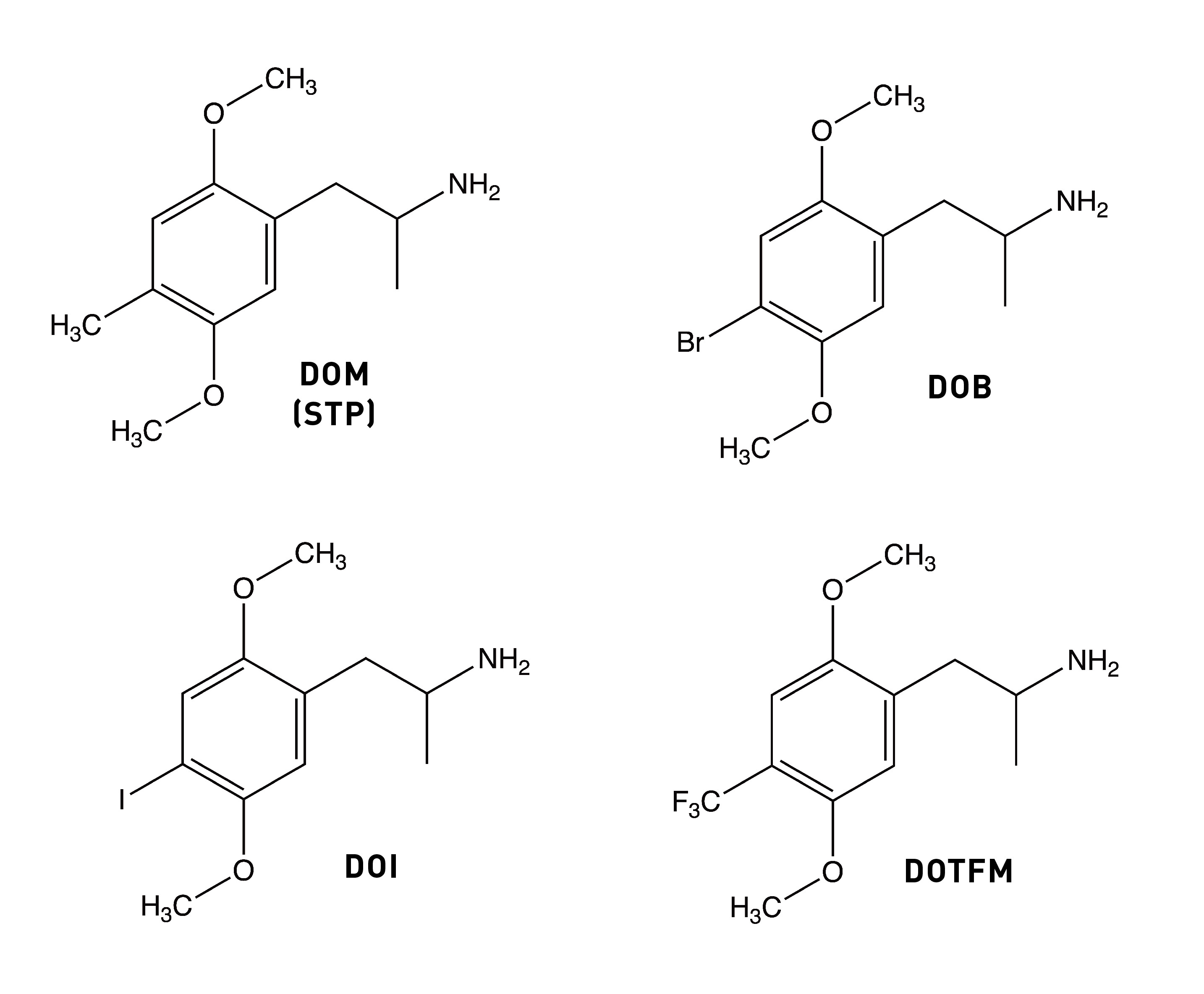 The story of Bromo-DragonFLY - by Andrew R. Gallimore