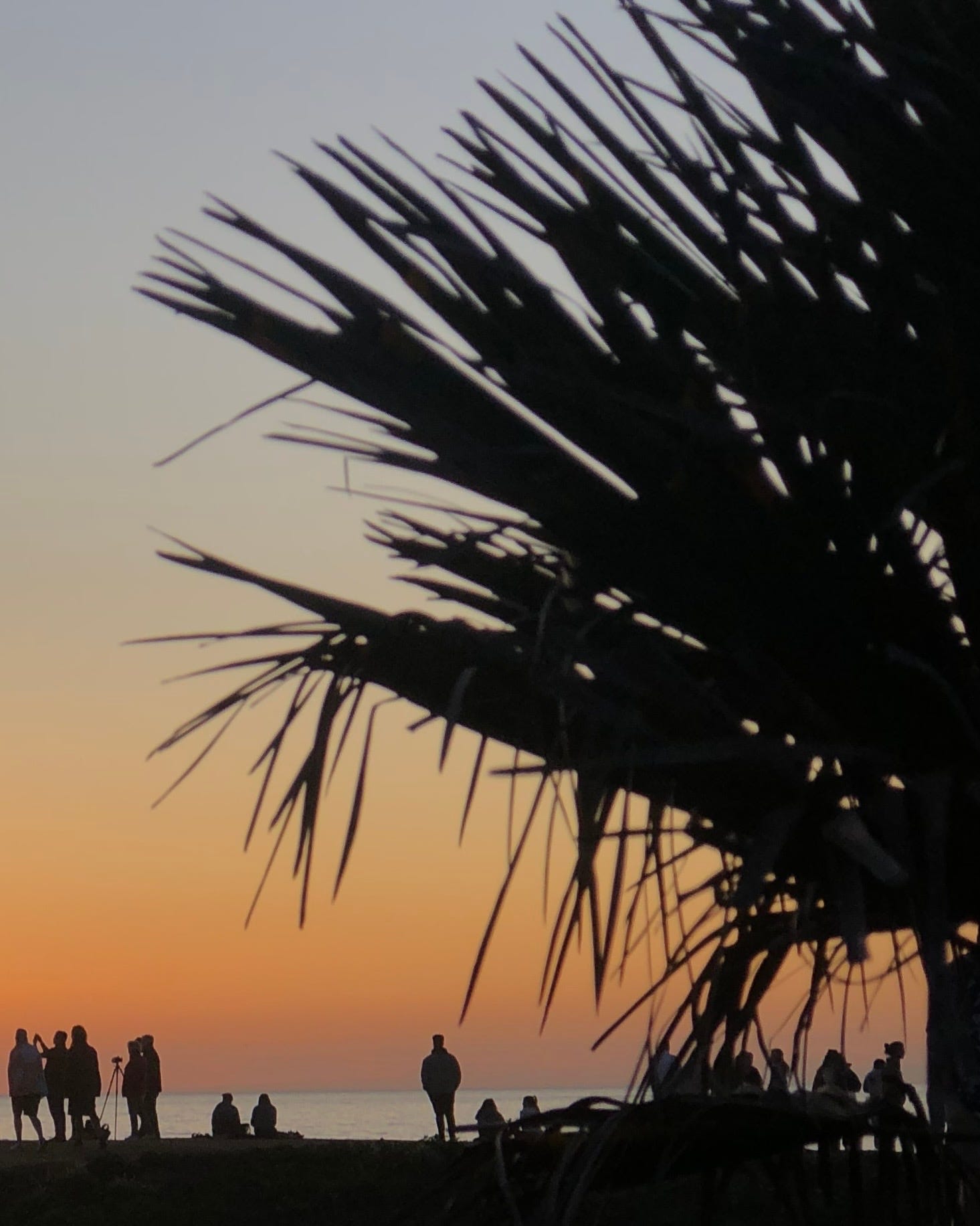 #89: Sunset crowd - by Stefania Culafic - Observations