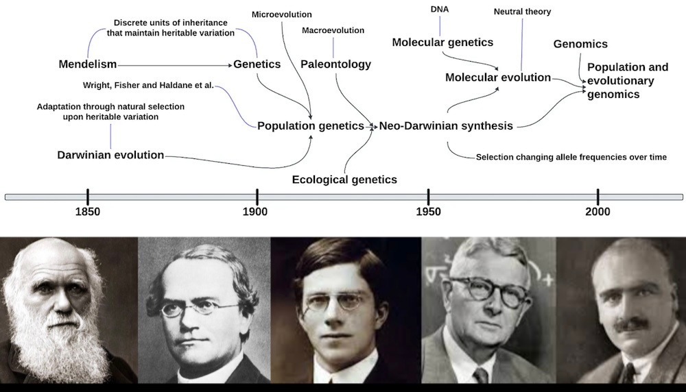 Science giveth and science taketh away