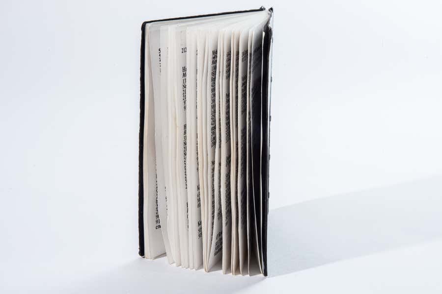 We found Jeffrey Epstein's other little black book from 1997