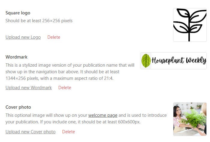 Creating a visual identity for your Substack