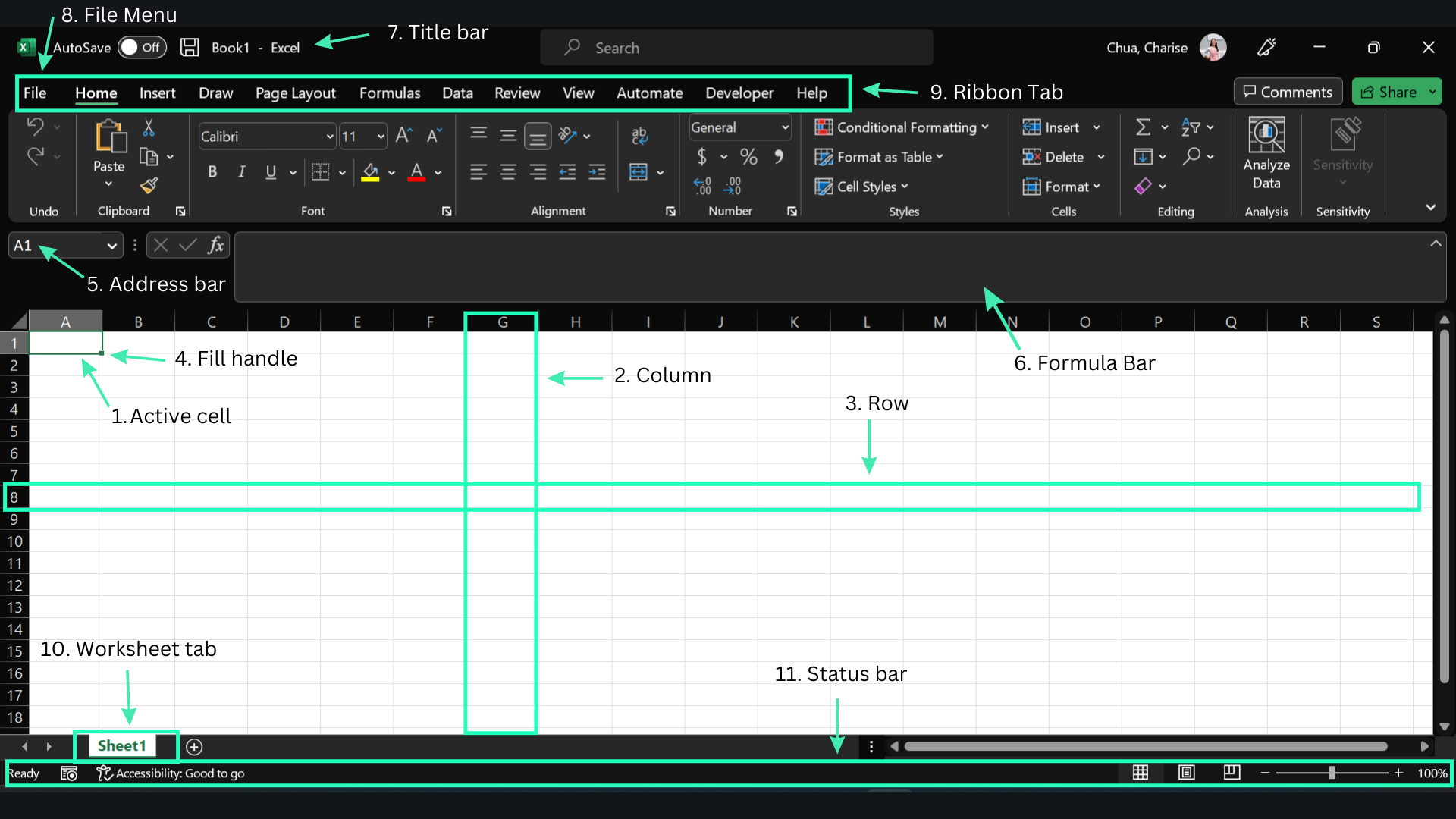 Ultimate Guide for Microsoft Excel Basics - by Charise Chua