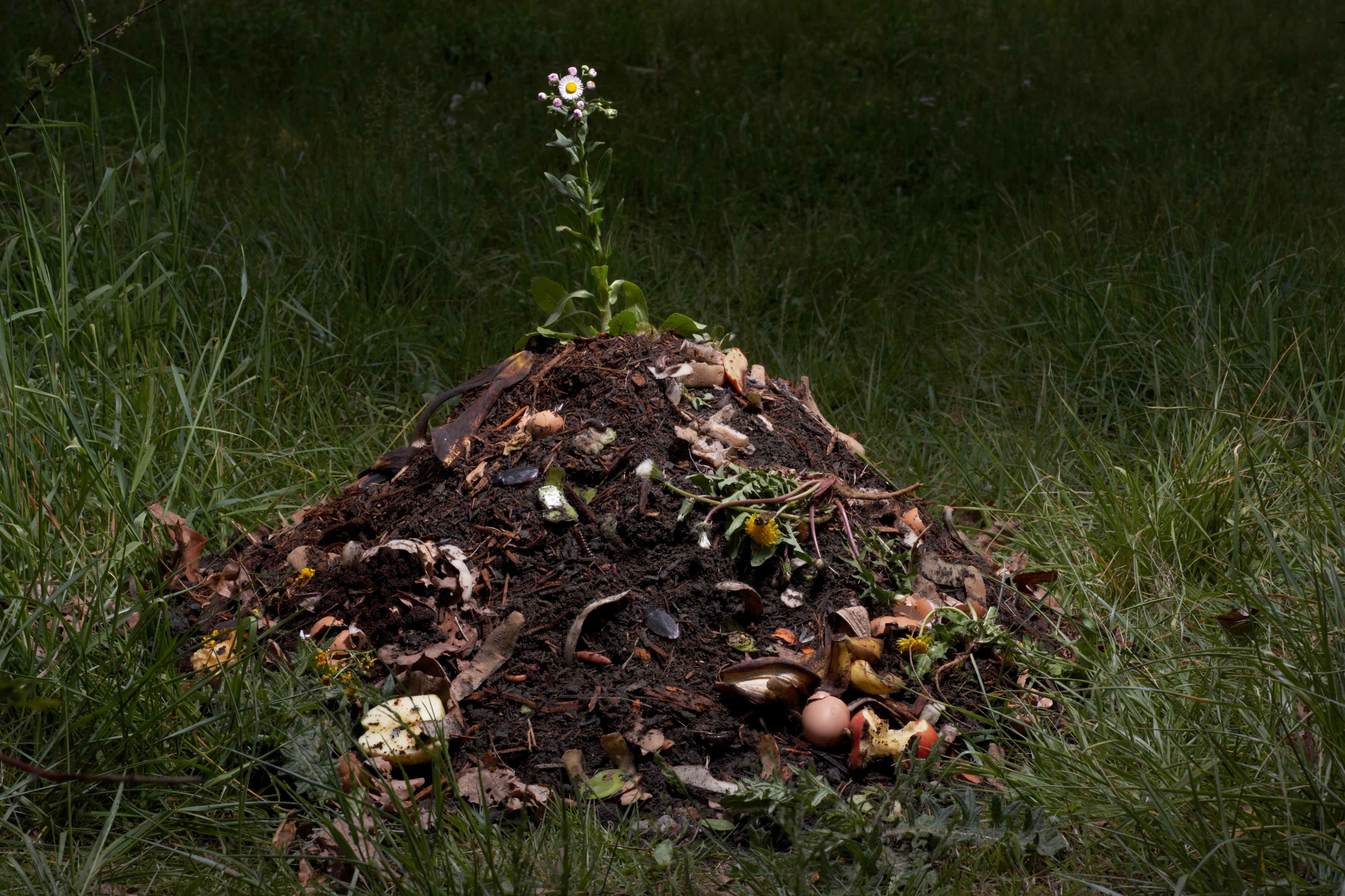 Food Waste Is Just the Tip of the Iceberg