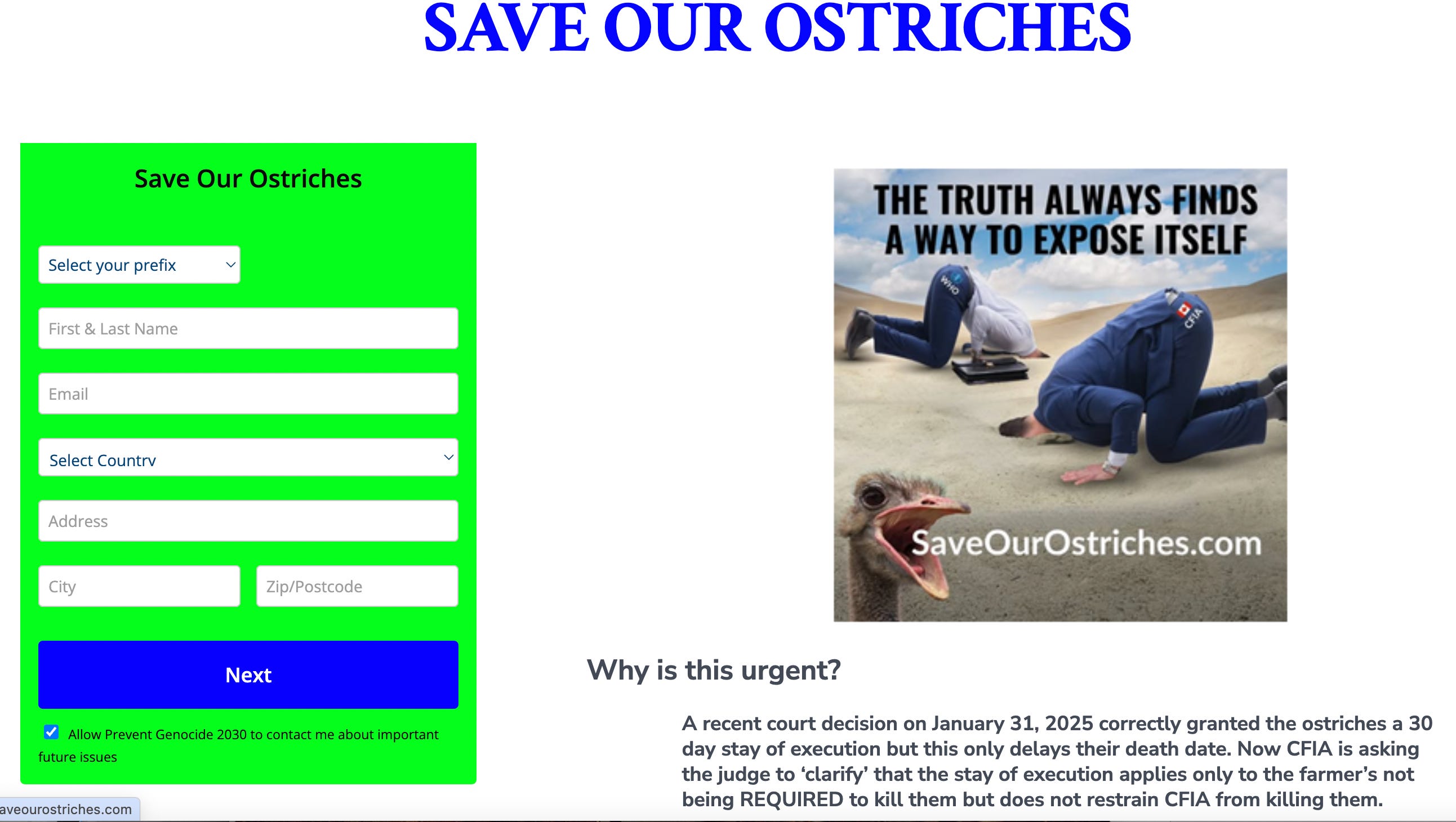 Title: The Ostrich in the Coal Mine: - by Connie Shields